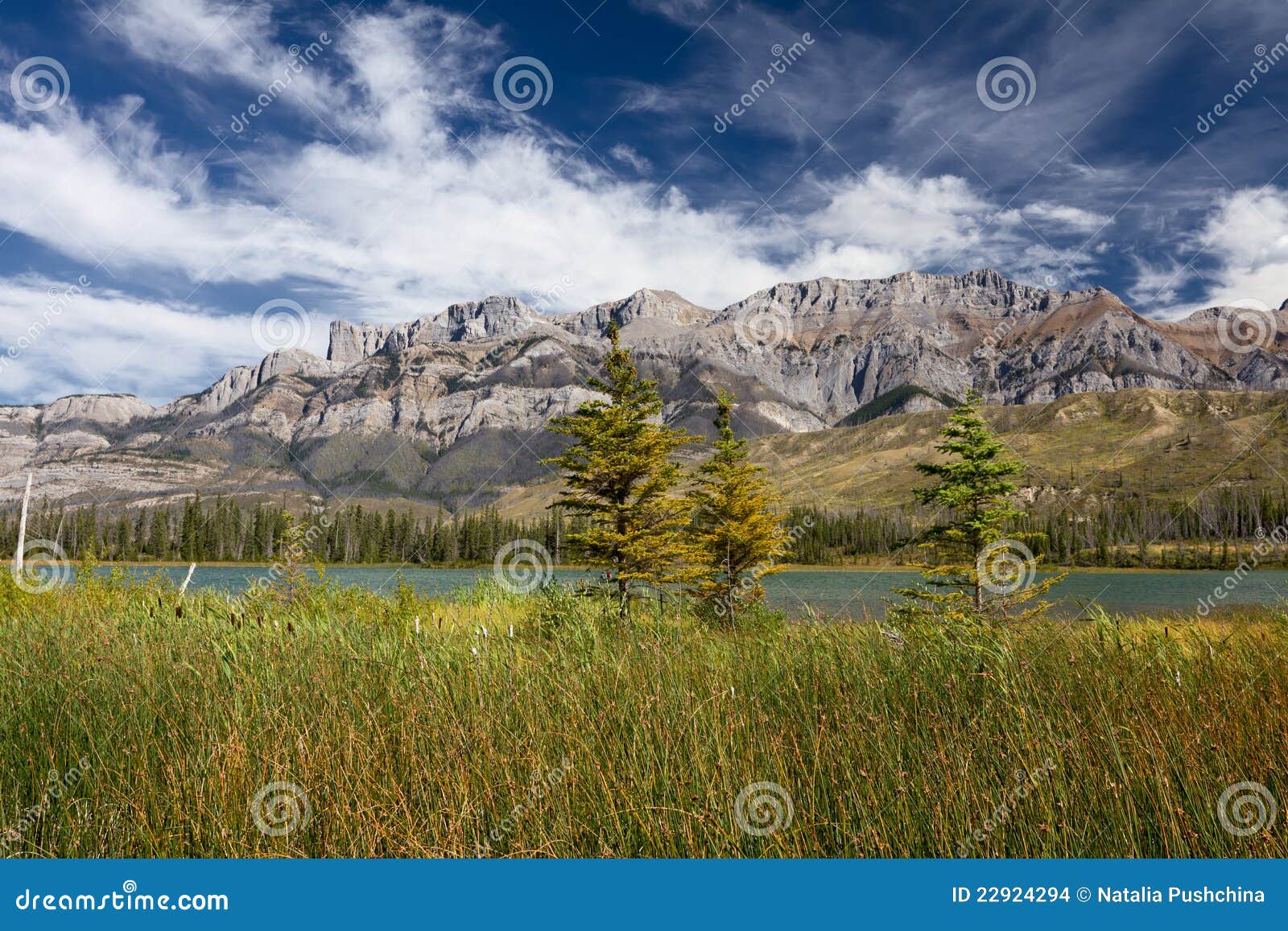 Canadees Landschap. Het Nationale Park Van De Jaspis, Alberta Stock ...