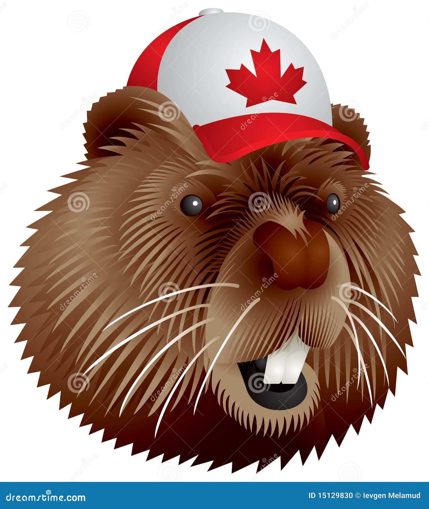 Canadese bever vector illustratie. Illustration of esdoorn - 15129830