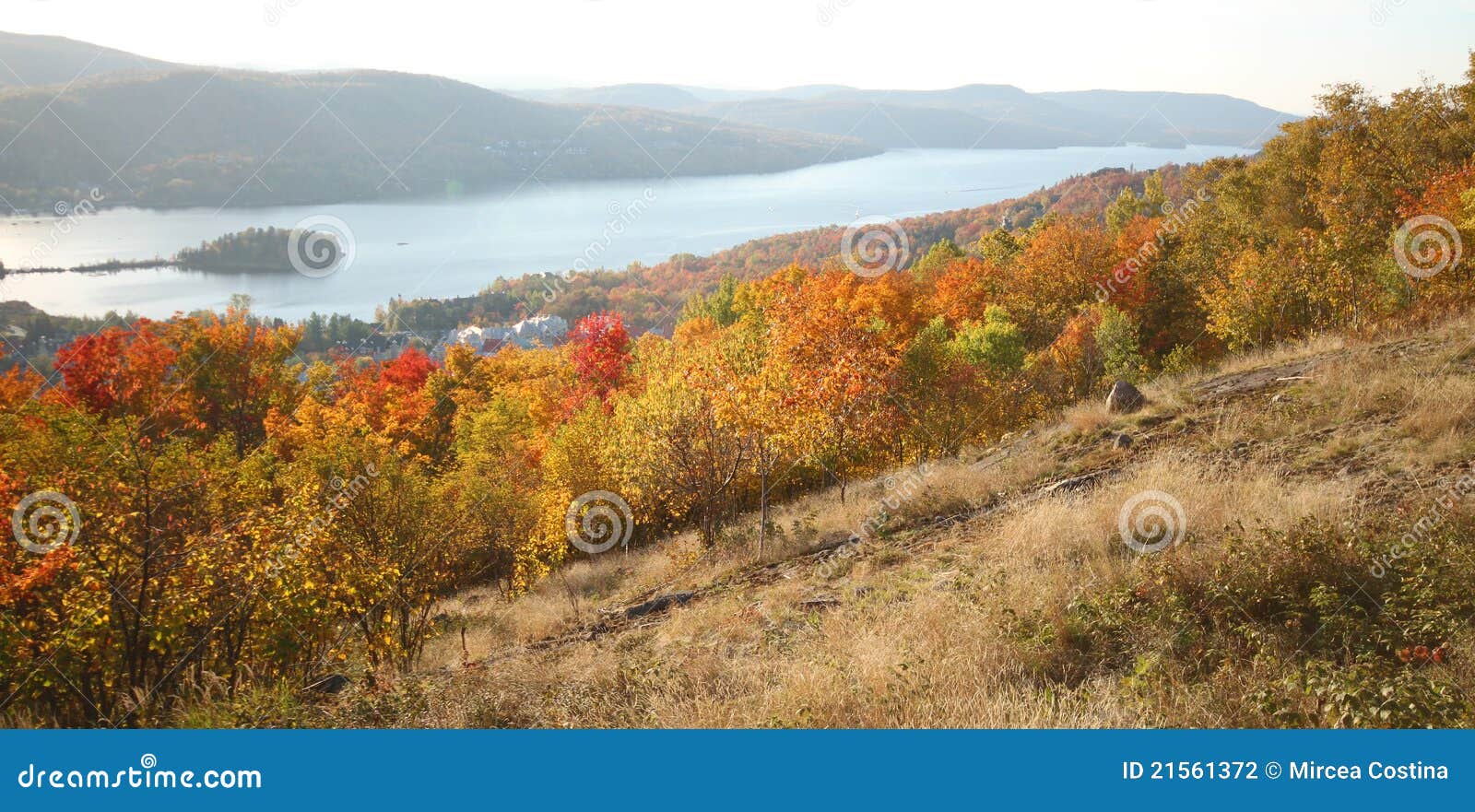 Canadian autumn landscape stock photo. Image of green - 21561372