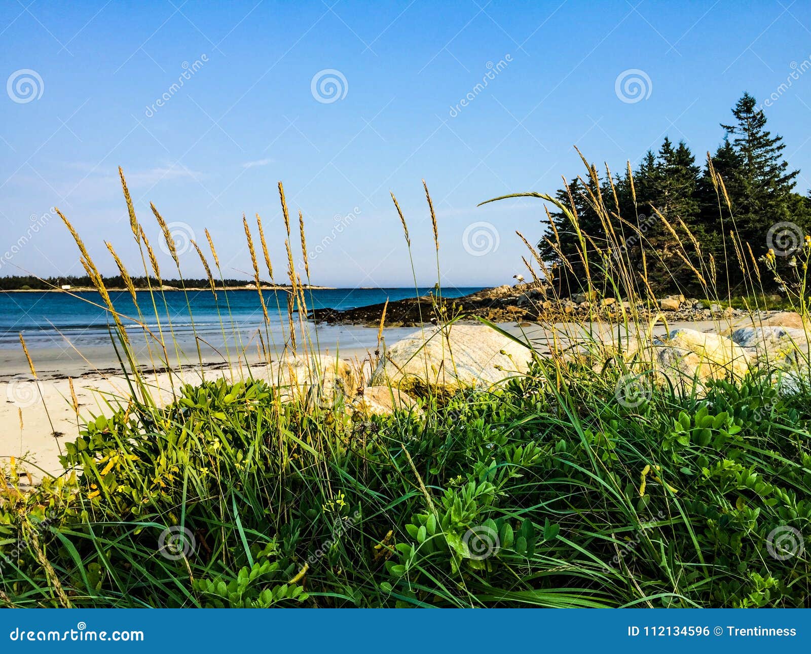Canadian Beaches stock photo. Image of sand, canada - 112134596
