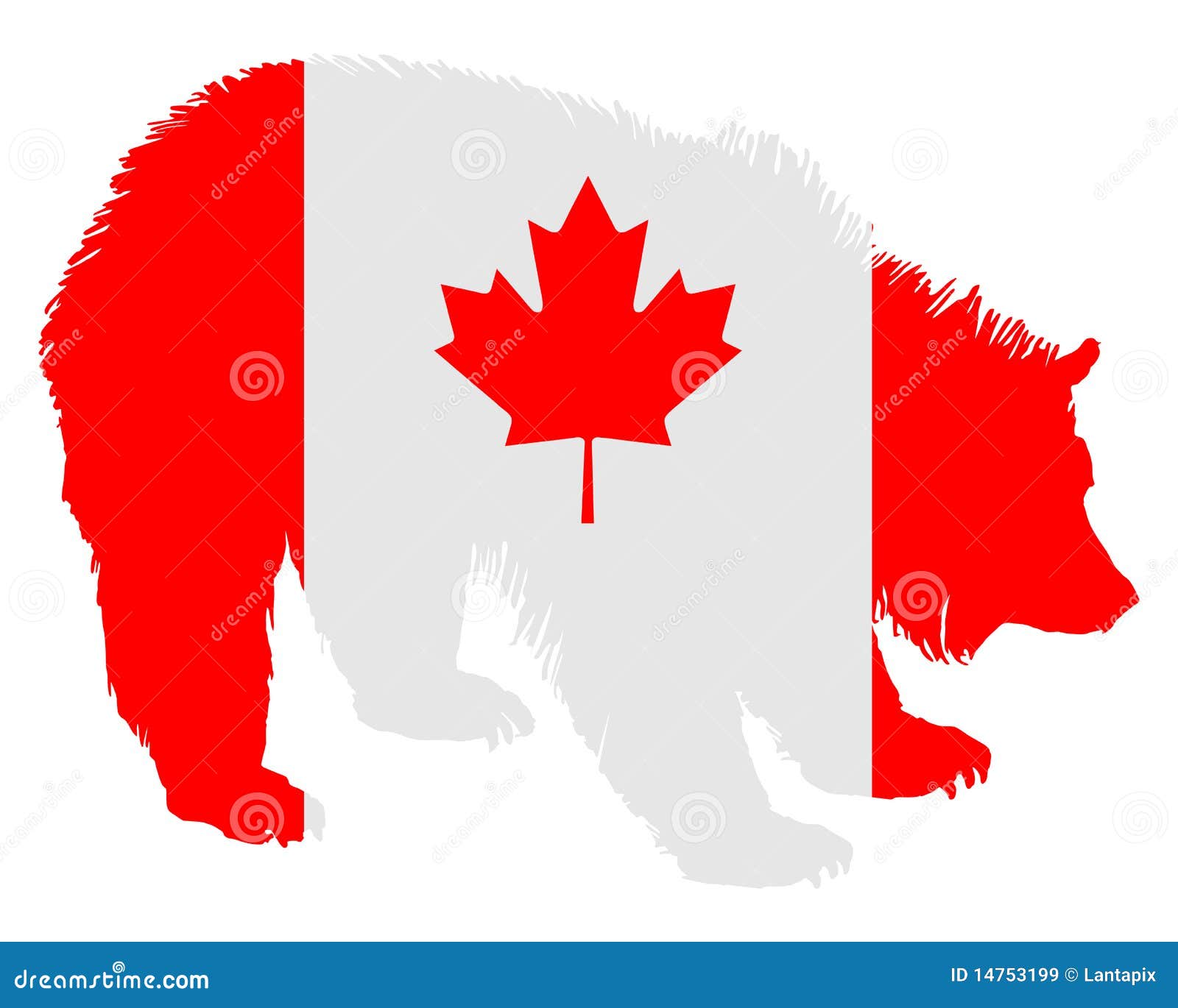 Canadian bear stock vector. Illustration of blue, canada - 14753199