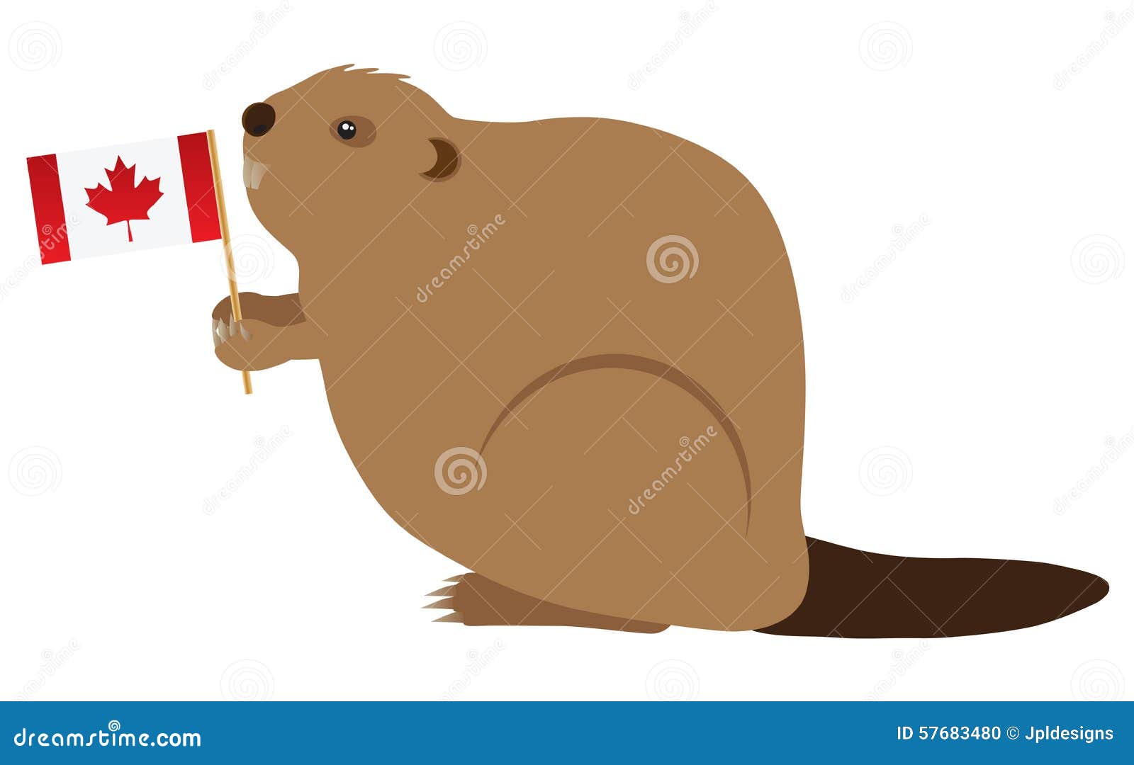 Canadian Beaver Color Vector Illustration Stock Vector - Illustration ... Canadian Beaver Color Vector Illustration Stock Vector - Illustration ...