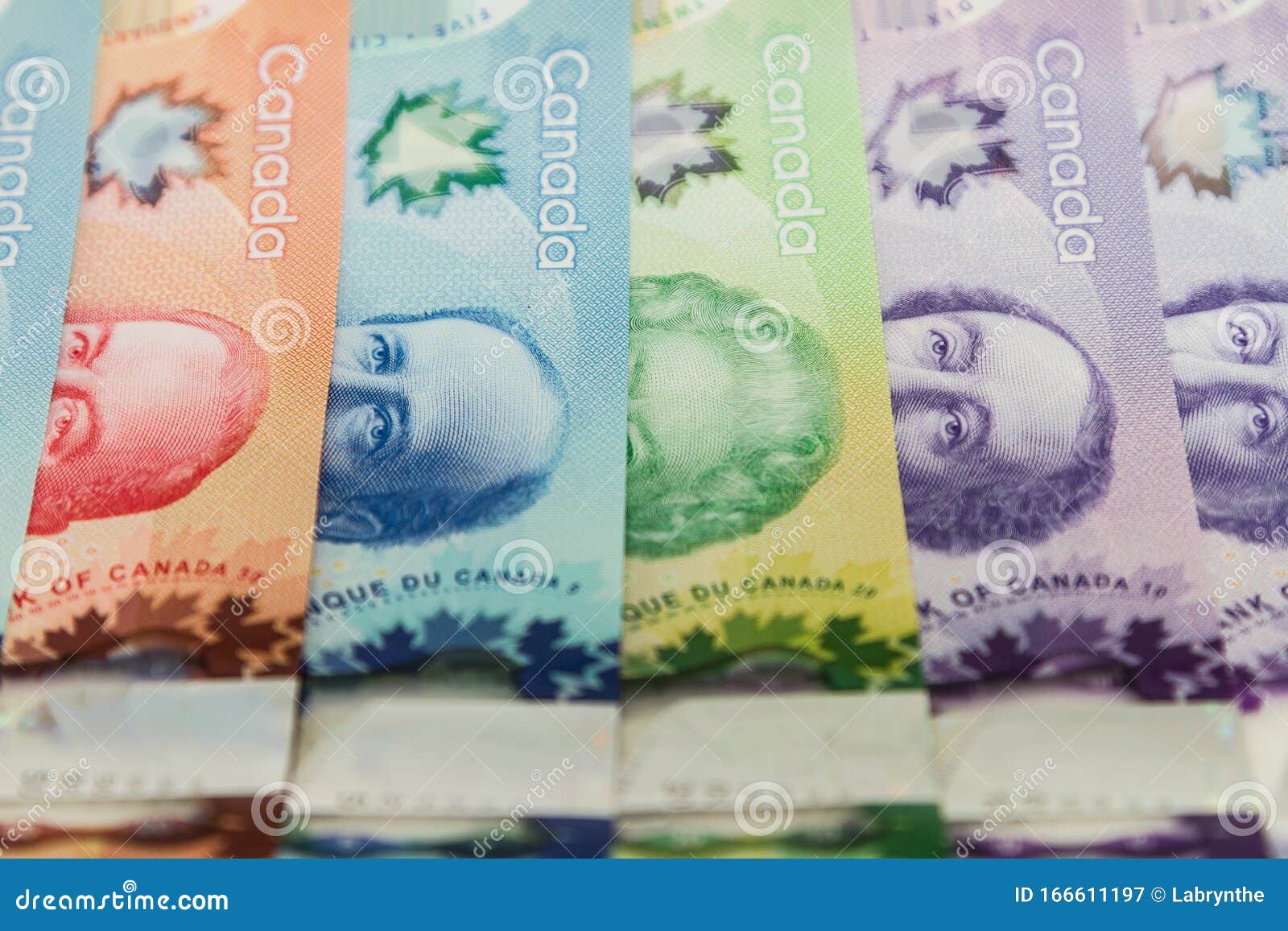 Canadian Dollar Bills on White Background, Canadian Currency Stock ...