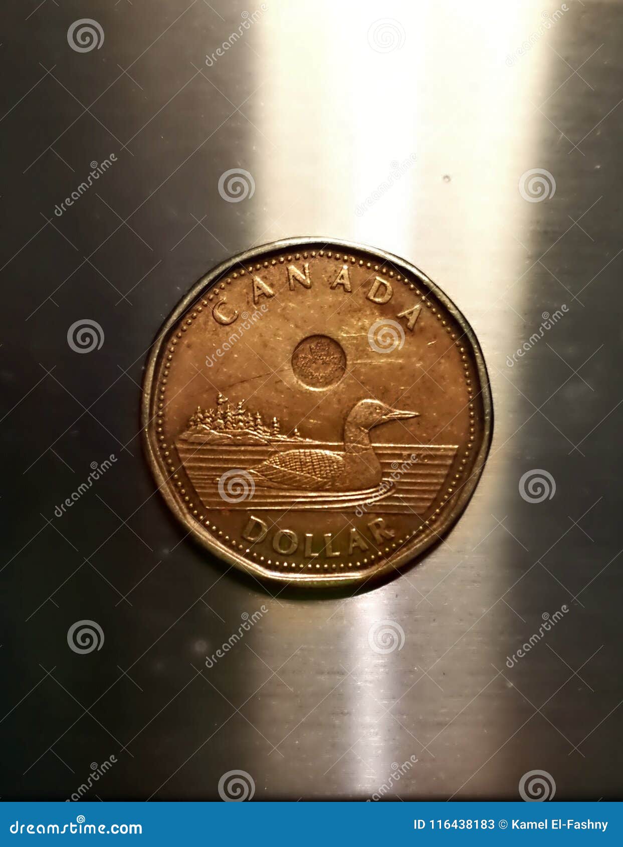 Canadian Dollar Coin editorial stock photo. Image of finance - 116438183