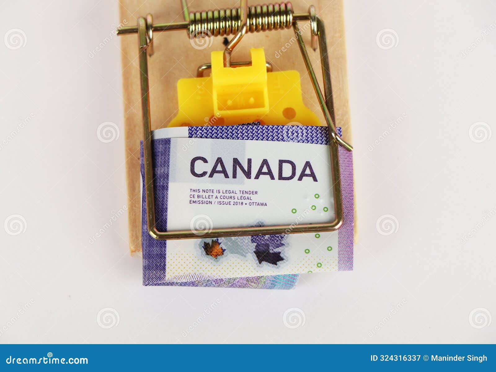 Canadian Dollars in Mousetrap. Scam Concept. Stock Image - Image of ...