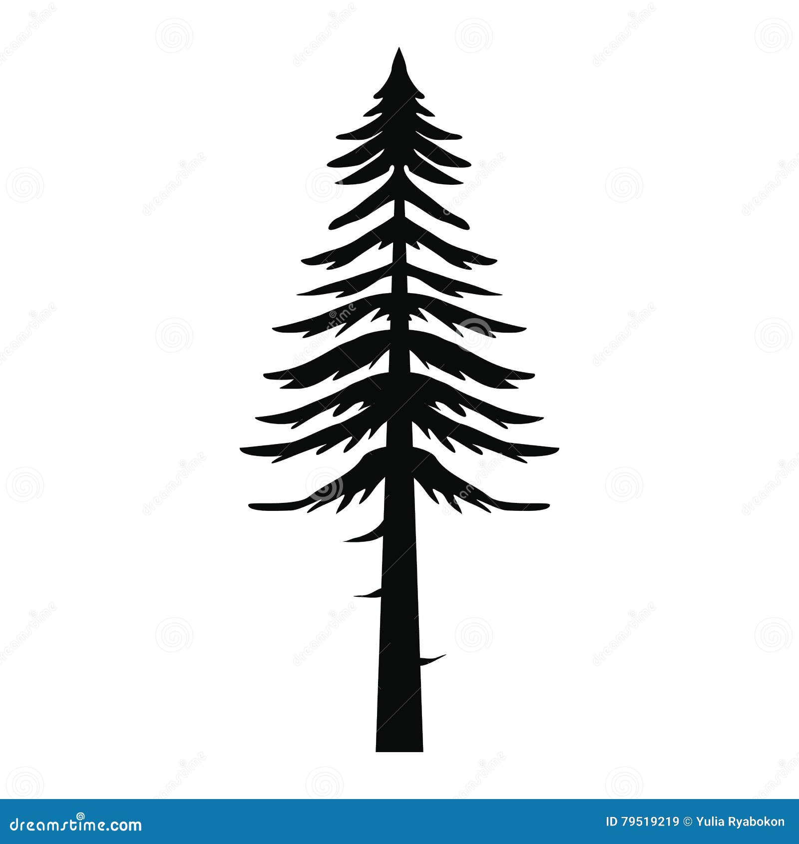 Canadian Evergreen Tree Pine Sketch Cartoon Vector | CartoonDealer.com ...