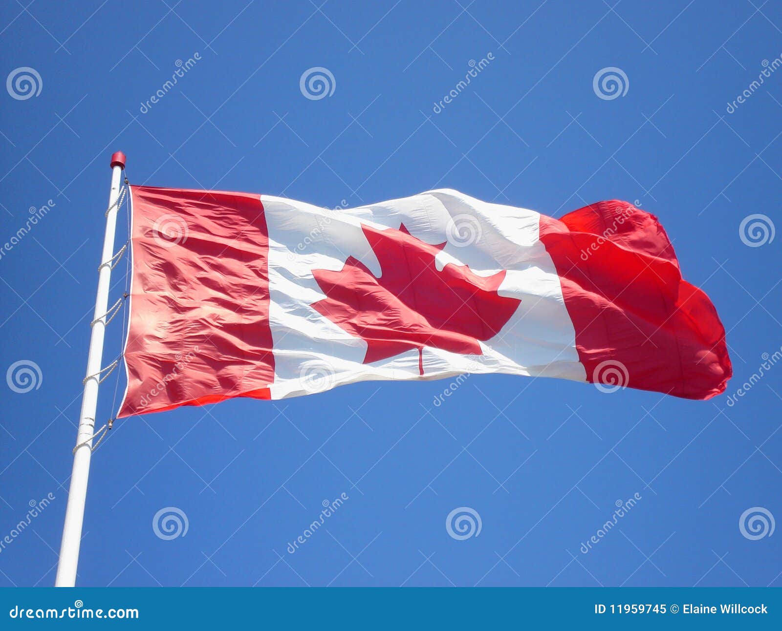 Canadian Flag stock image. Image of country, flag, blowing - 11959745