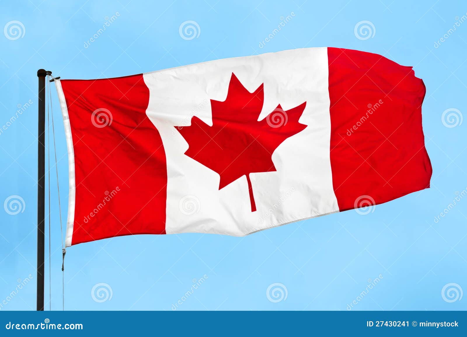 Waving Canadian Flags