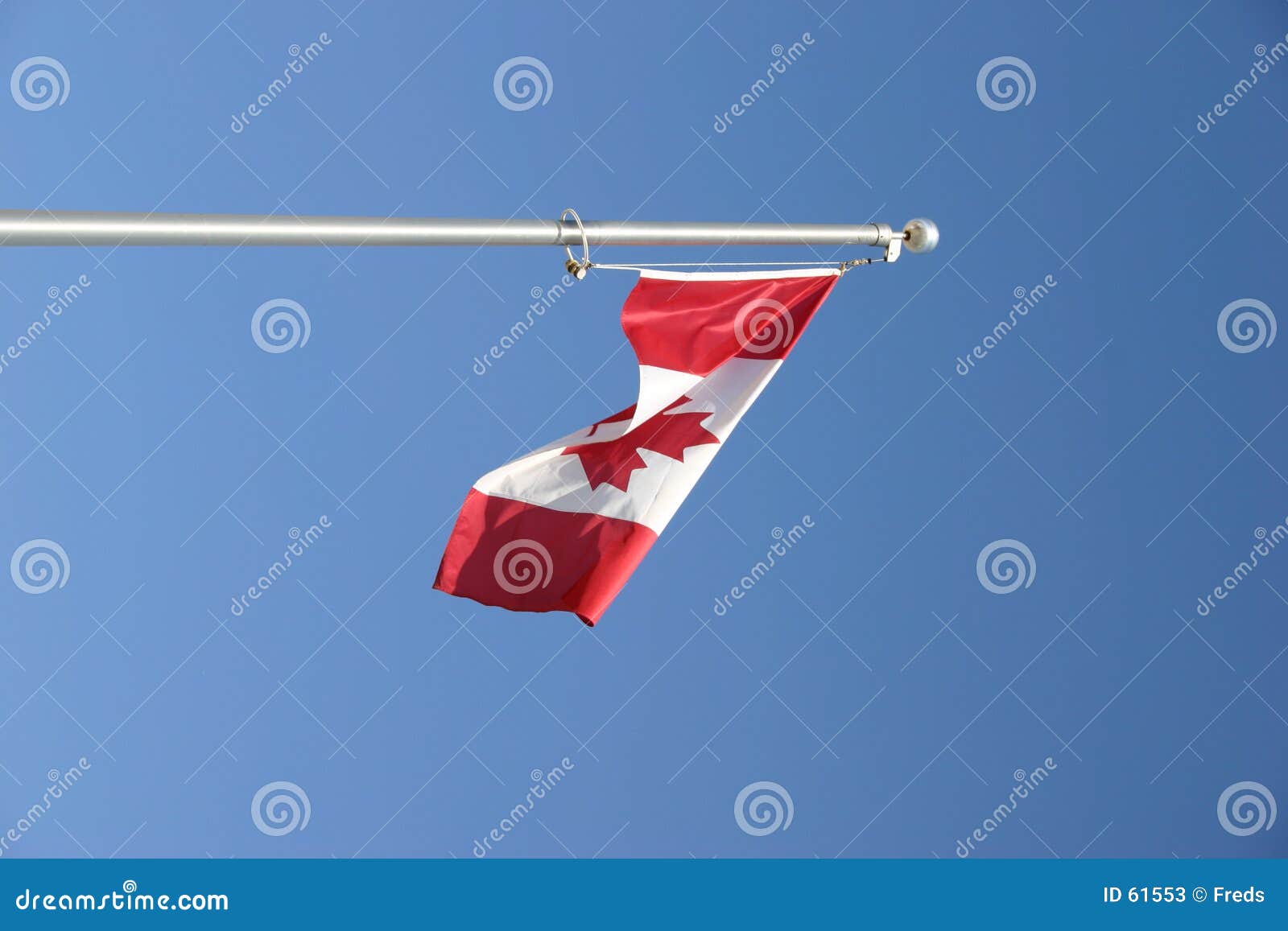 Canadian flag stock image. Image of american, canadian, flags - 61553