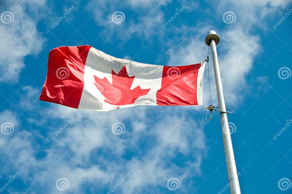 Canadian flag stock image. Image of national, white, blue - 6275311