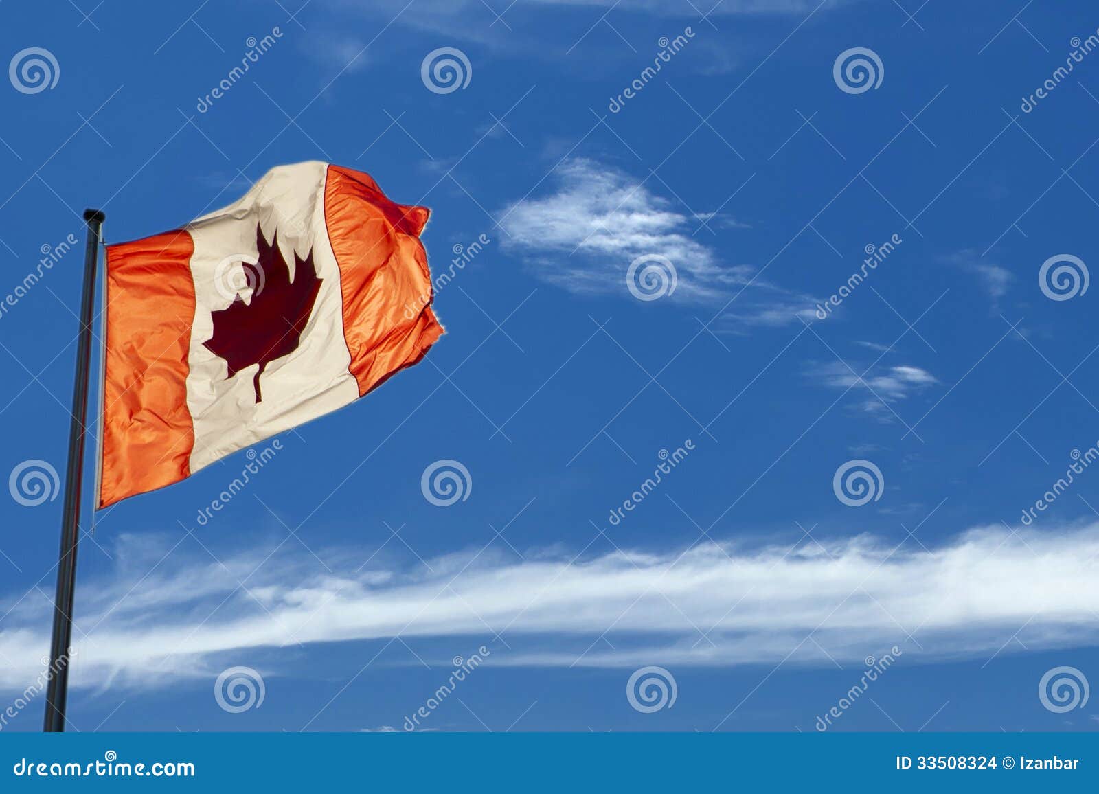 Canadian Flag stock photo. Image of isolated, closeup - 33508324