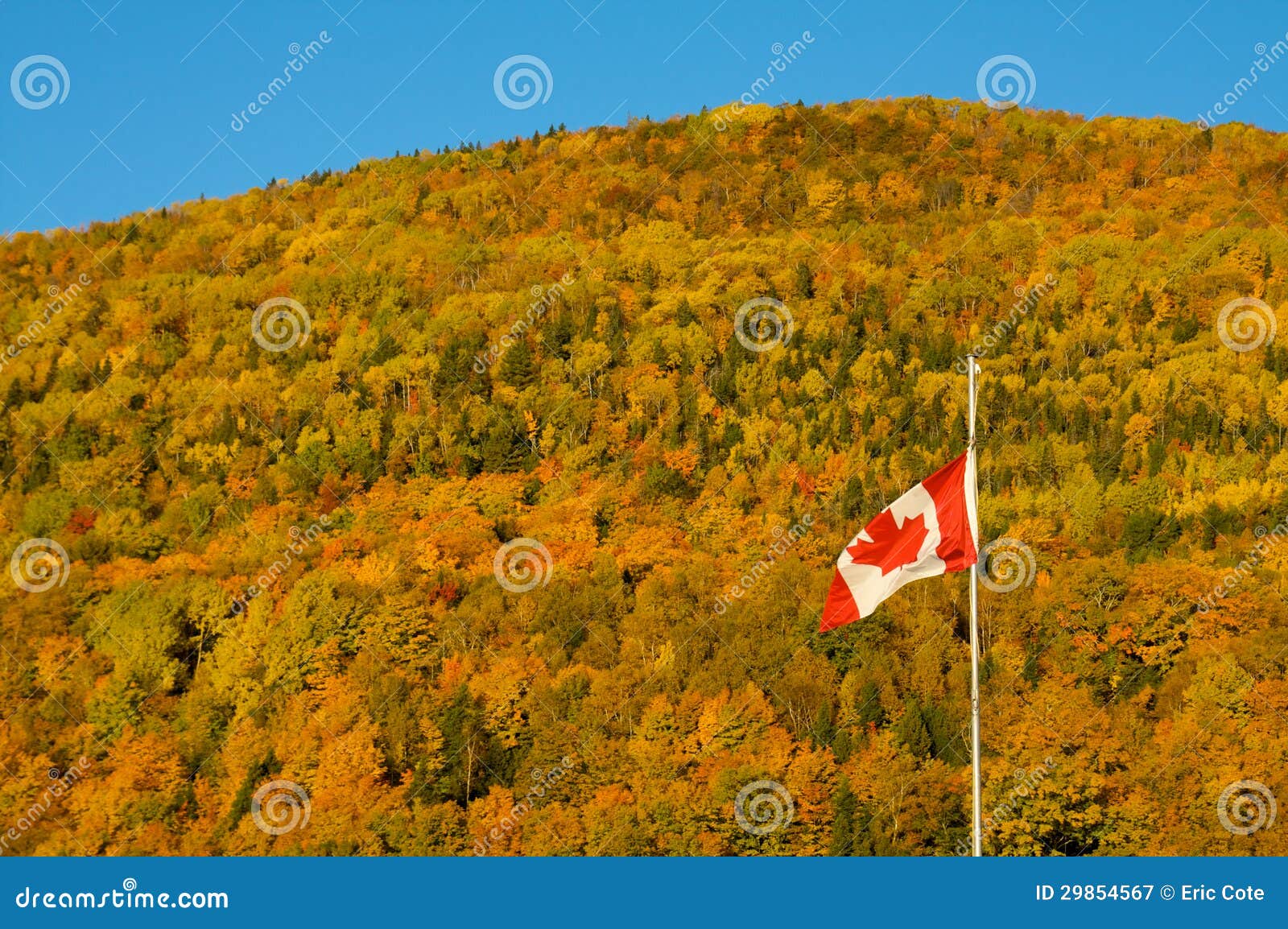 Canadian fall stock image. Image of country, pole, confederation - 29854567