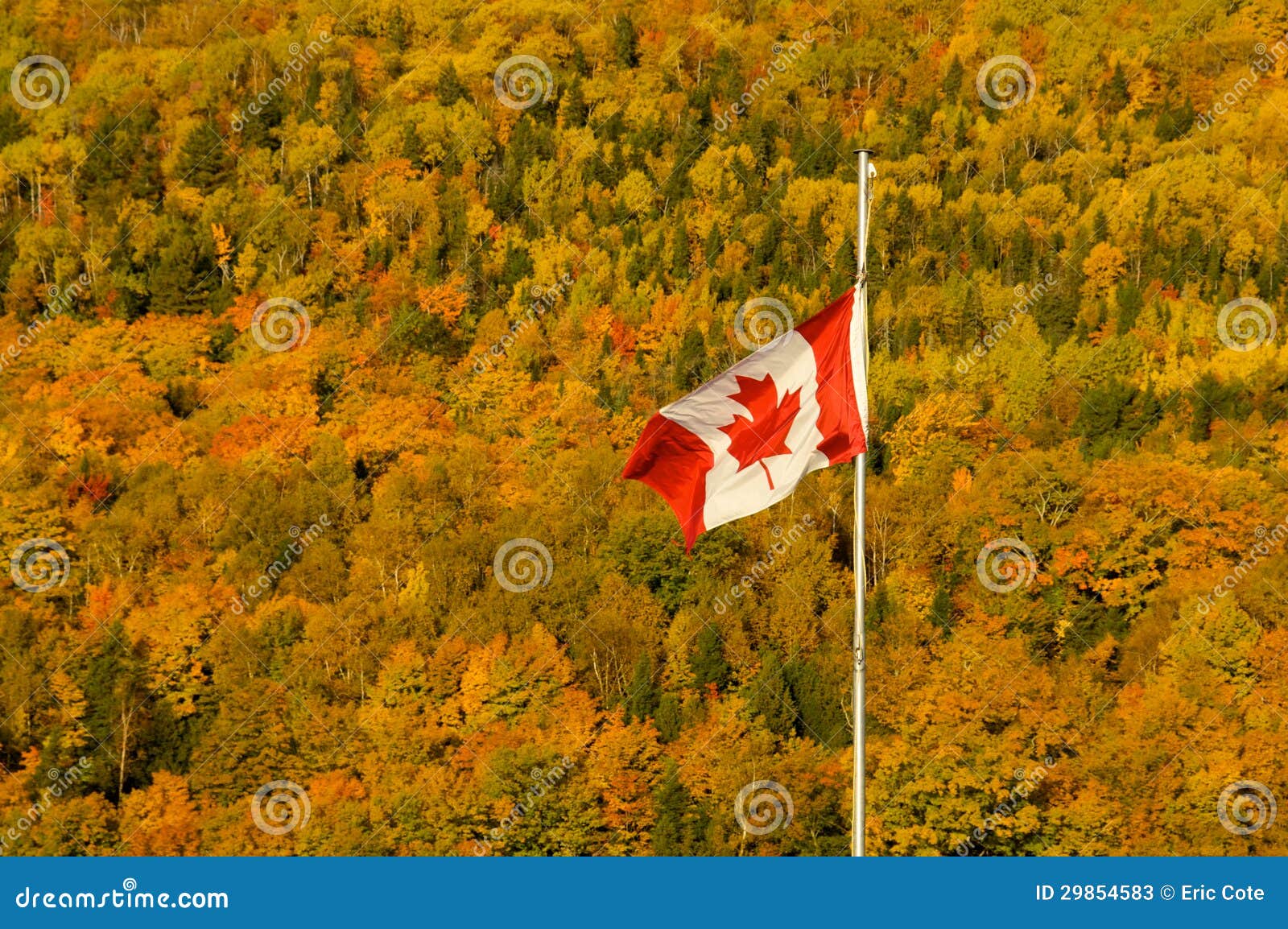 Canadian fall stock image. Image of maple, symbolic, national - 29854583
