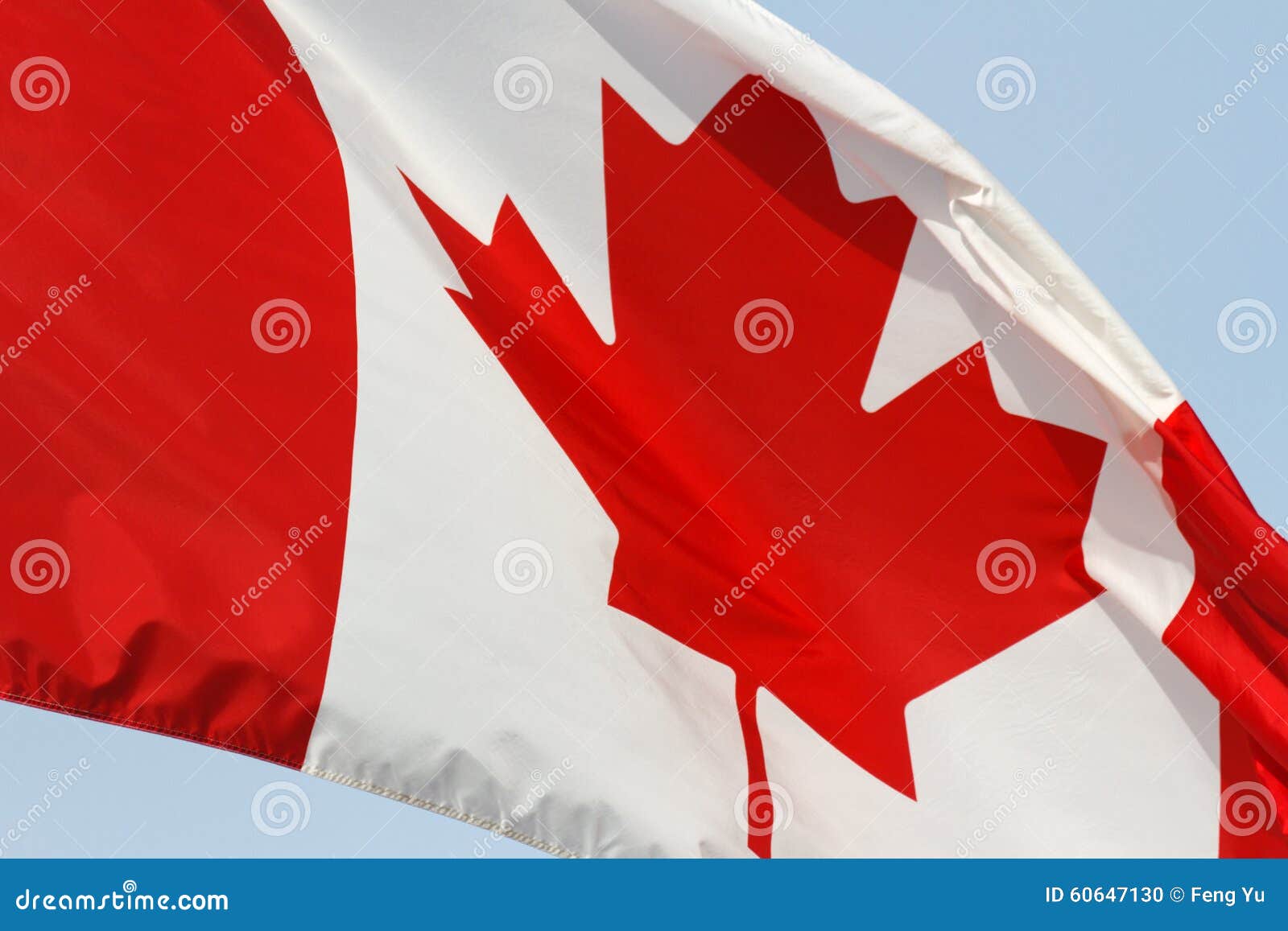 Canadian Flag stock photo. Image of leaf, blue, patriotism - 60647130