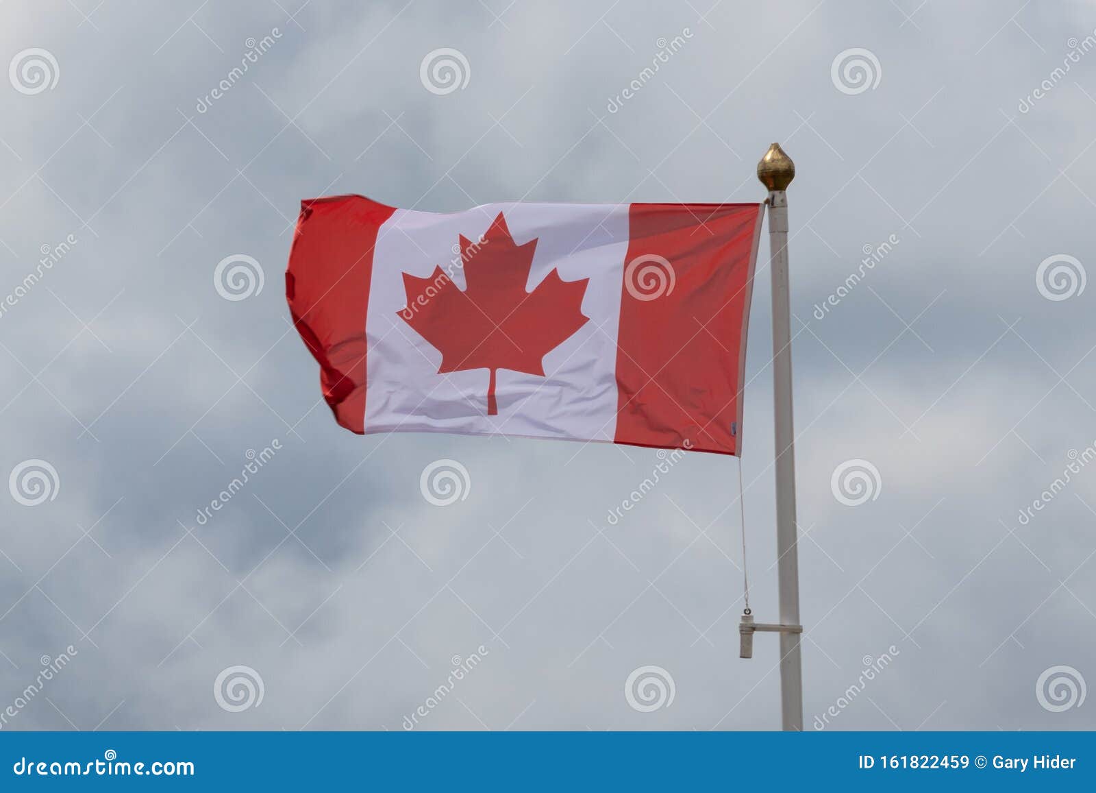 A Canadian Flag Flying from a Flagpole Stock Image - Image of pole ...