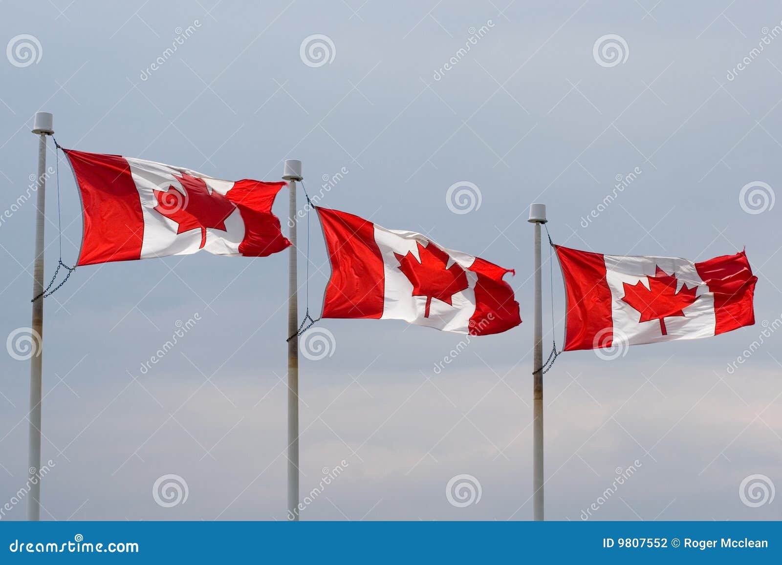 Canadian flag lineup stock photo. Image of lines, shape - 9807552