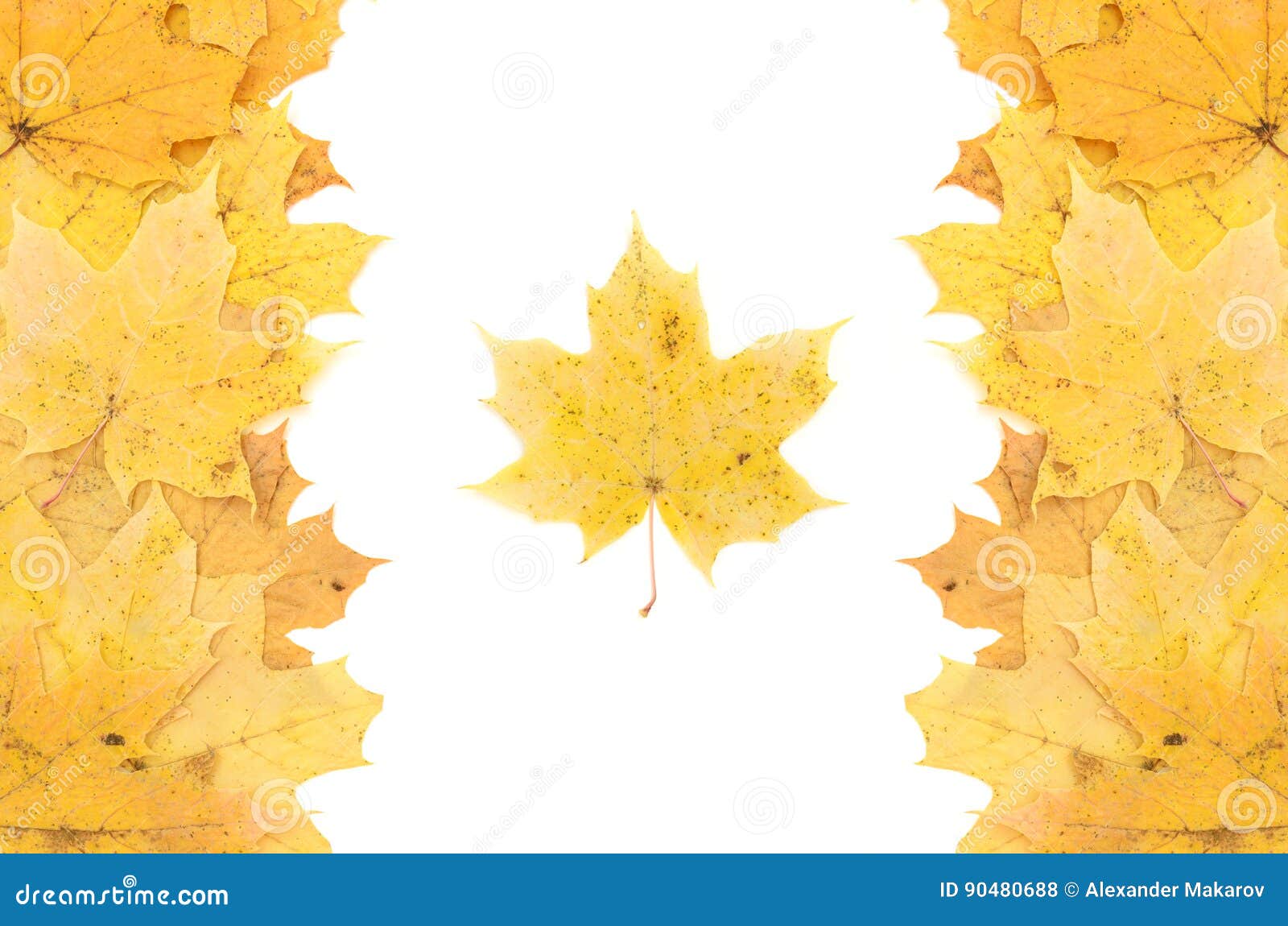 Canadian Flag of Maple Leaves Stock Photo - Image of yellow, fall: 90480688