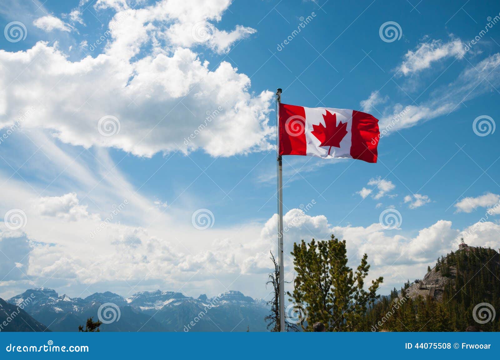 Canadian Flag Royalty-Free Stock Photography | CartoonDealer.com #2306249