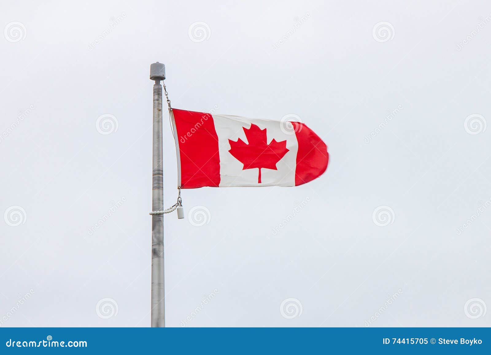 Canadian Flag on Pole Flapping in Wind Stock Image - Image of isolated ...