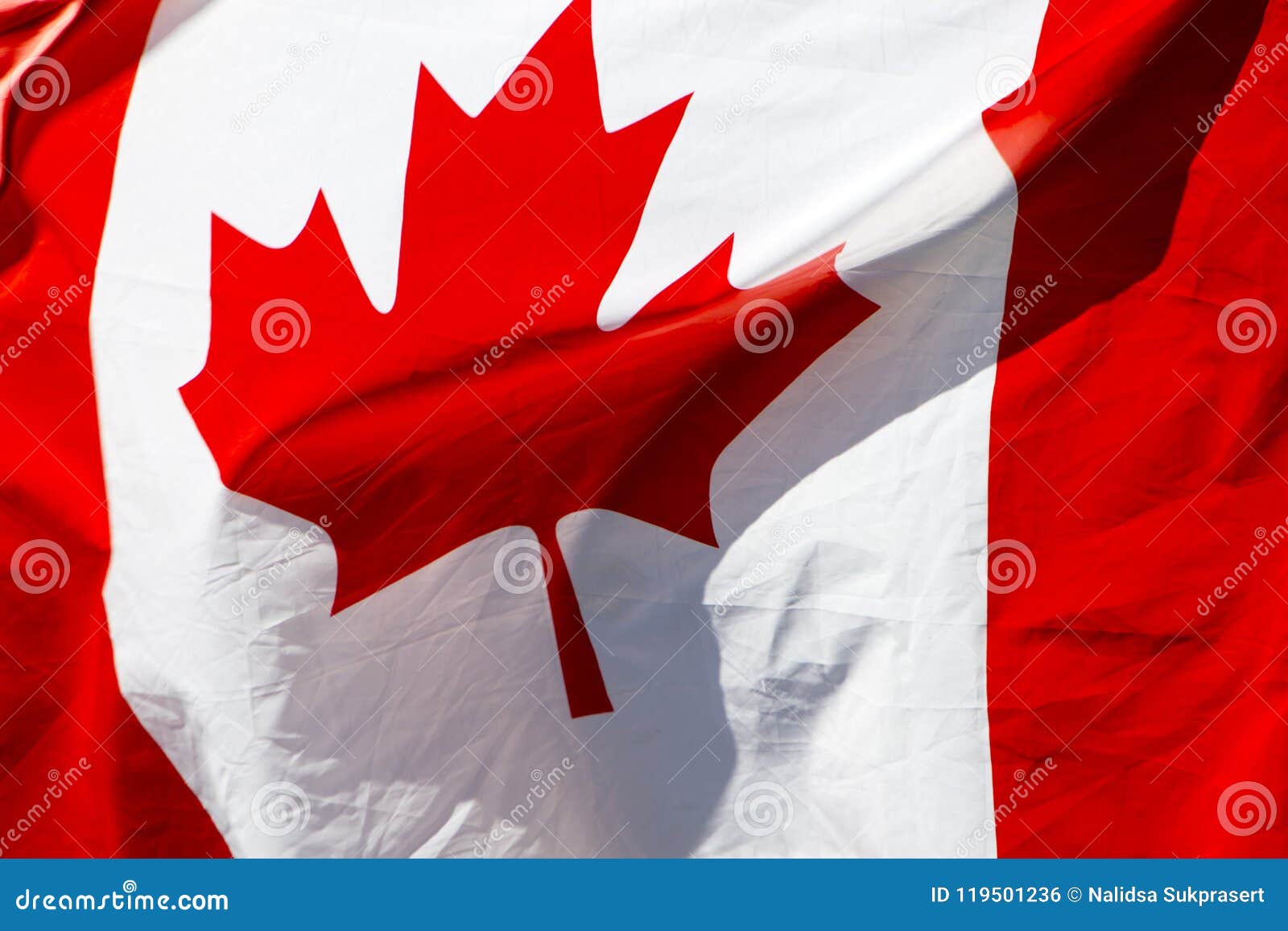 Canadian Flag stock photo. Image of national, country - 119501236