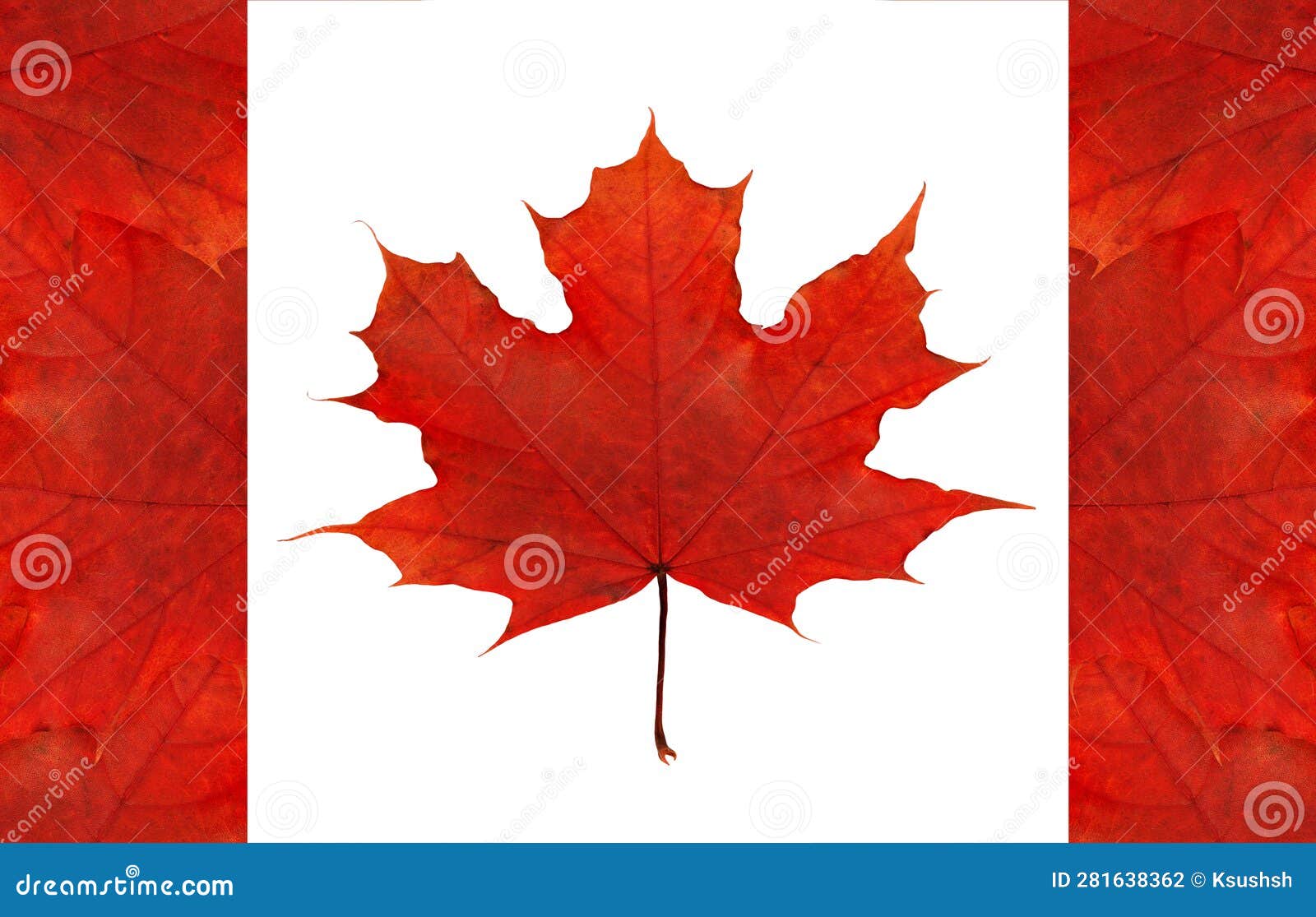 Canadian Maple Leaf Clip Art