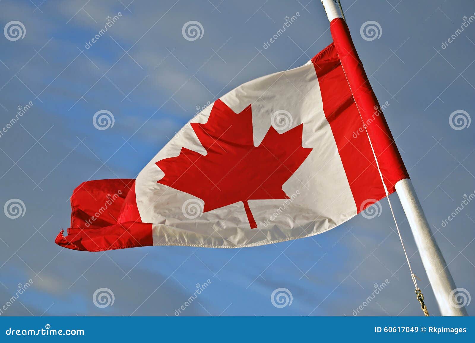 Canadian Flag stock image. Image of proud, countries - 60617049