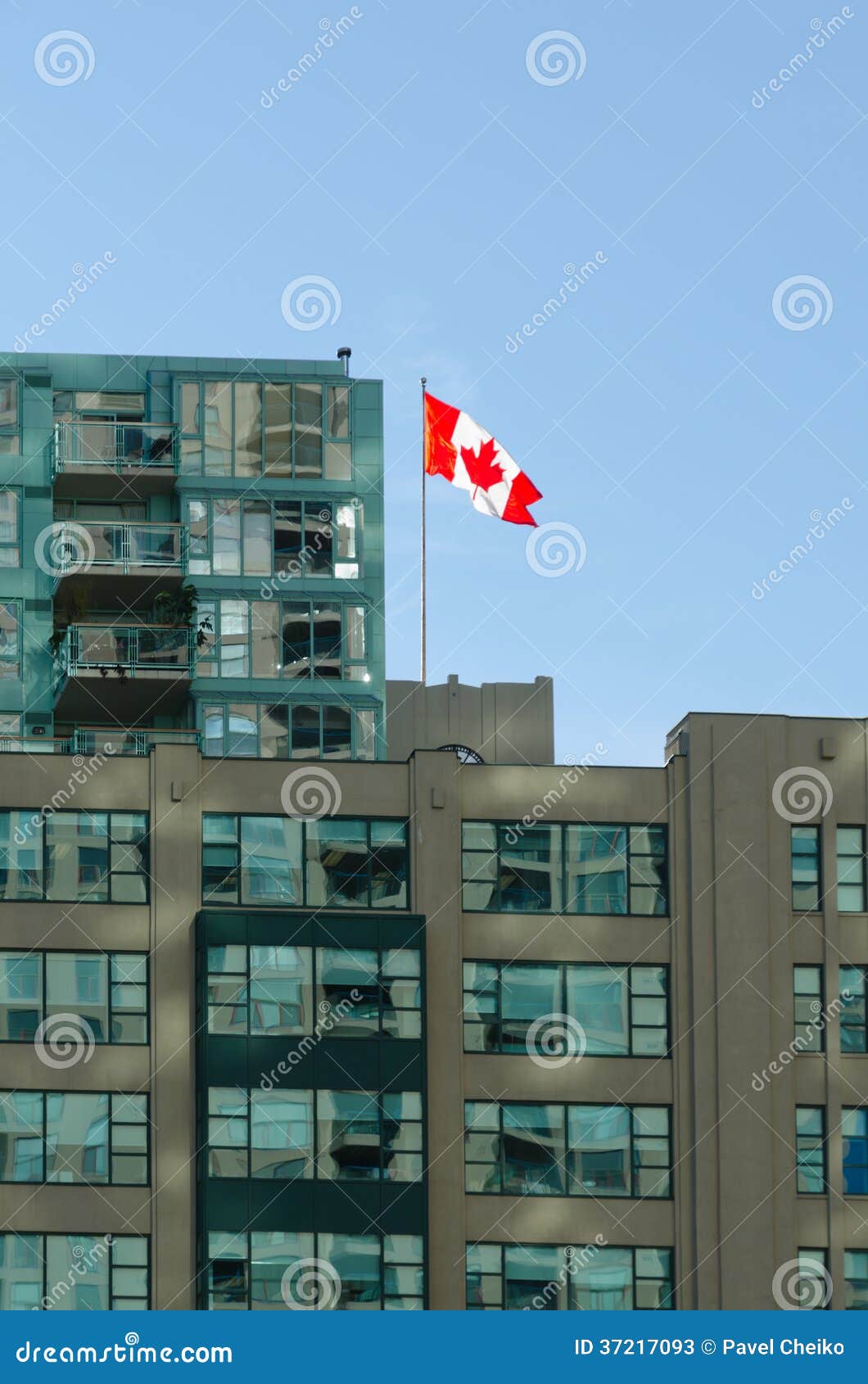 Canadian flag stock image. Image of sunlit, flag, urban - 37217093