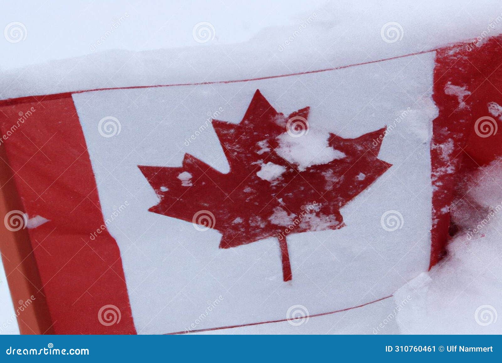 Canadian Flag in Snow stock illustration. Illustration of leaf - 310760461