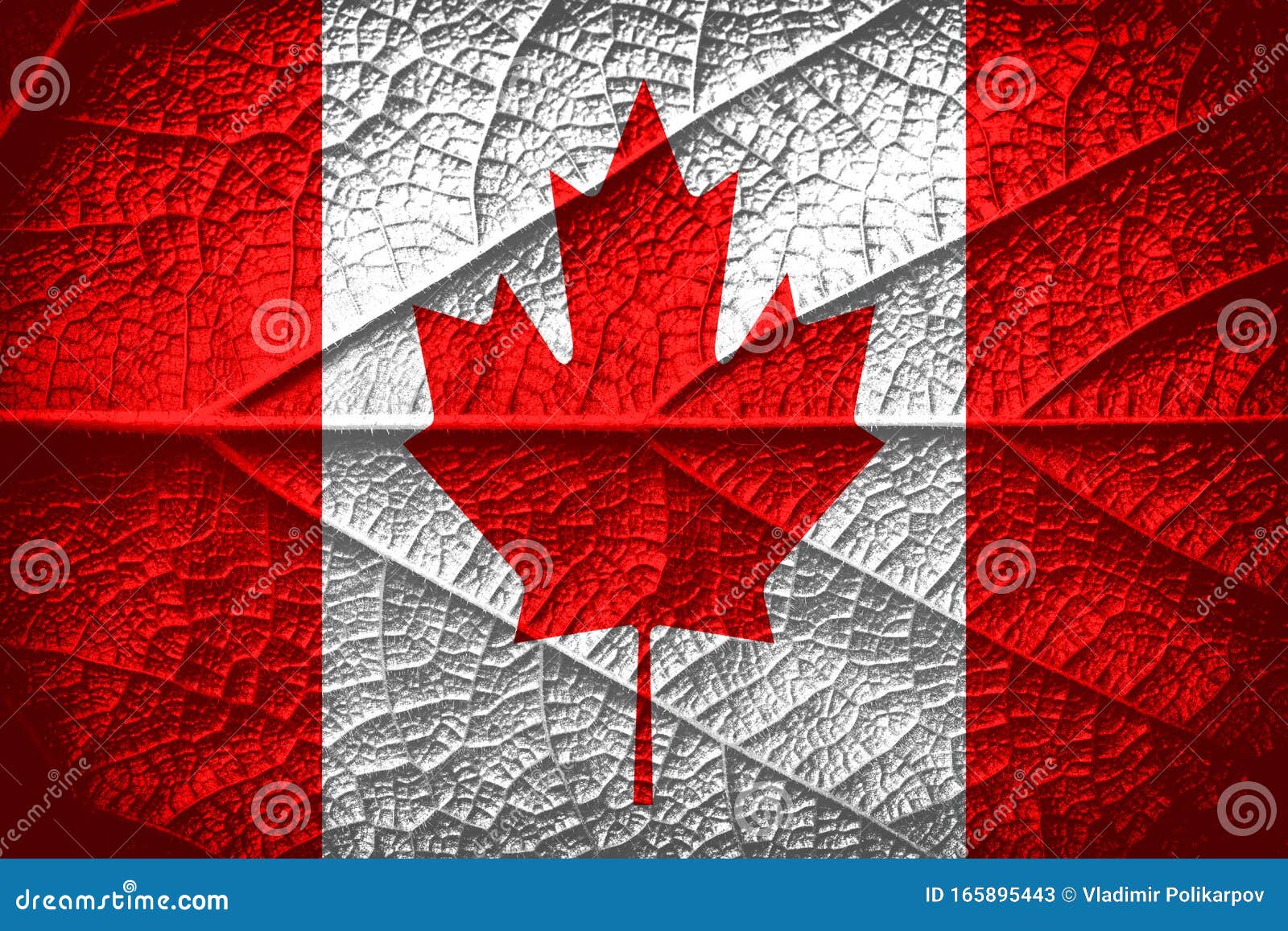 Canadian Flag with Texture. Template for Design Stock Illustration ...