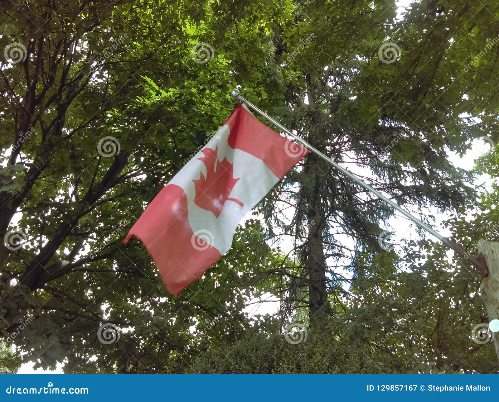 Canadian Flag Waving Gently Stock Image - Image of canadian, backyard ...