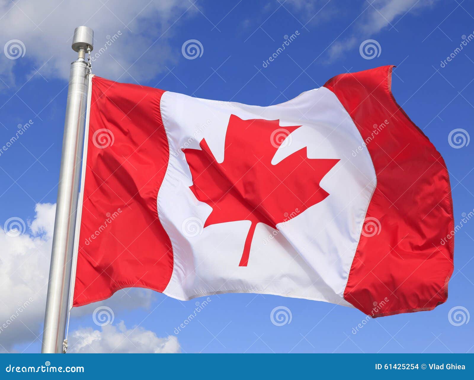 Waving Canadian Flags