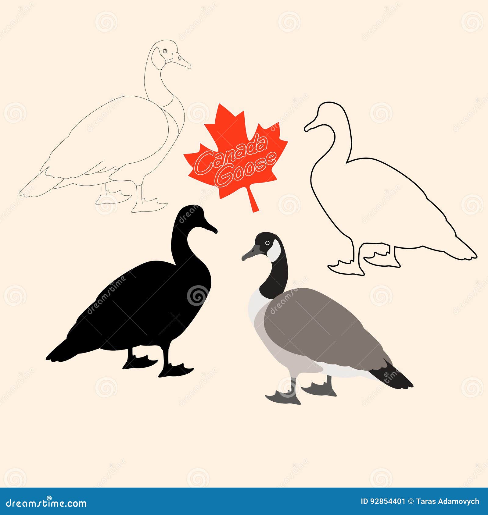 Canadian Goose Vector Illustration Style Flat Black Silhouette Stock ...