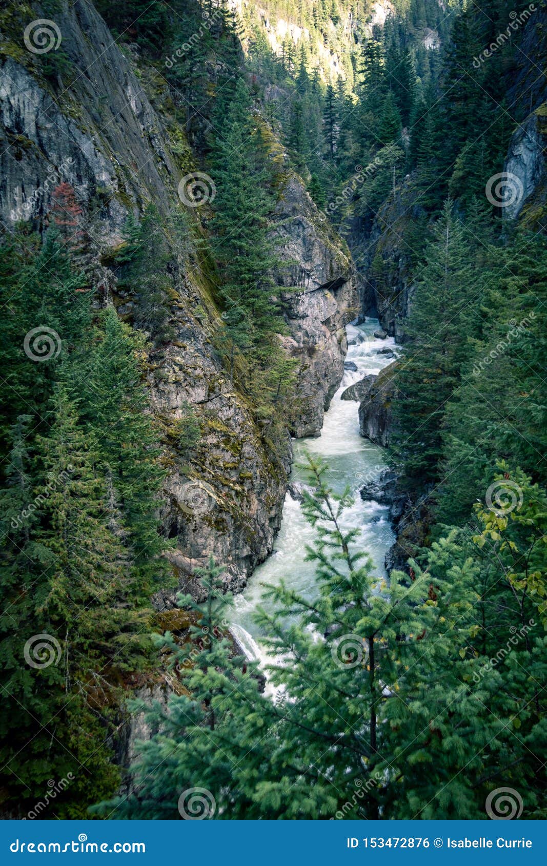 Canadian Gorge with River Running through it Stock Photo - Image of ...