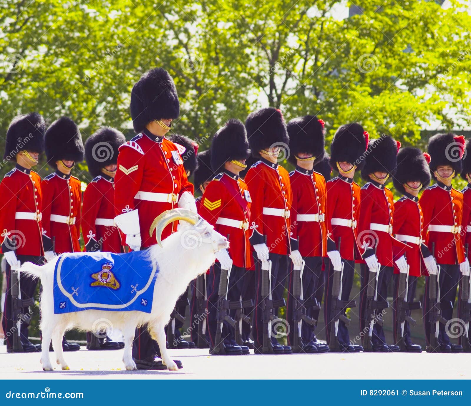 Canadian Guards at Quebec Citadel Editorial Photo - Image of honor ...