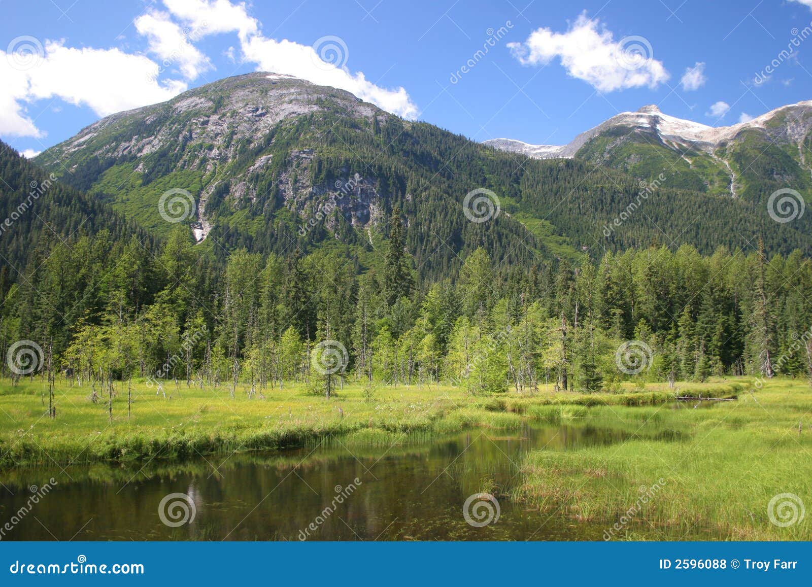 Canadian Meadow stock photo. Image of pond, grass, mountains - 2596088