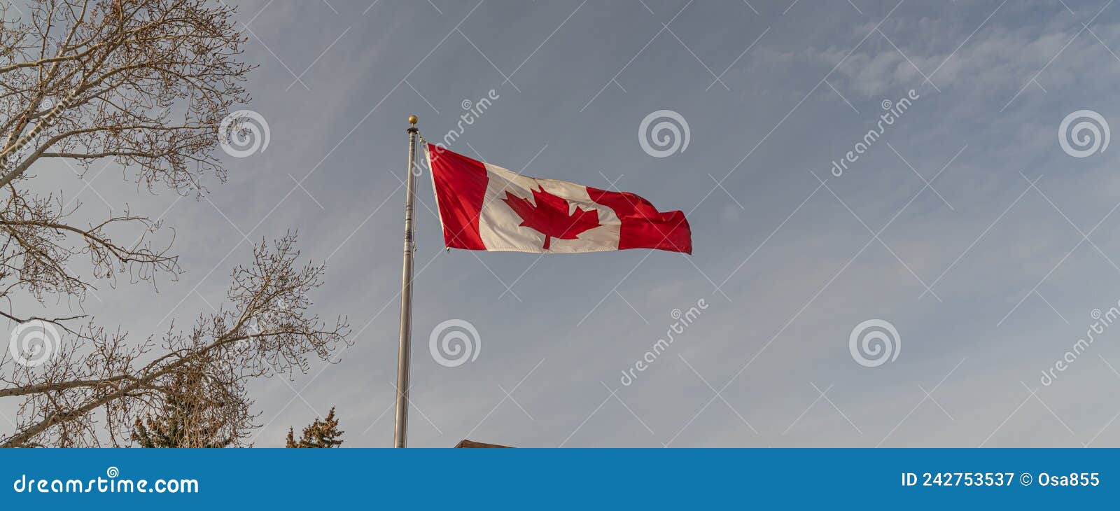 Canadian National Flag Flying in Calgary Downtown Stock Image - Image ...