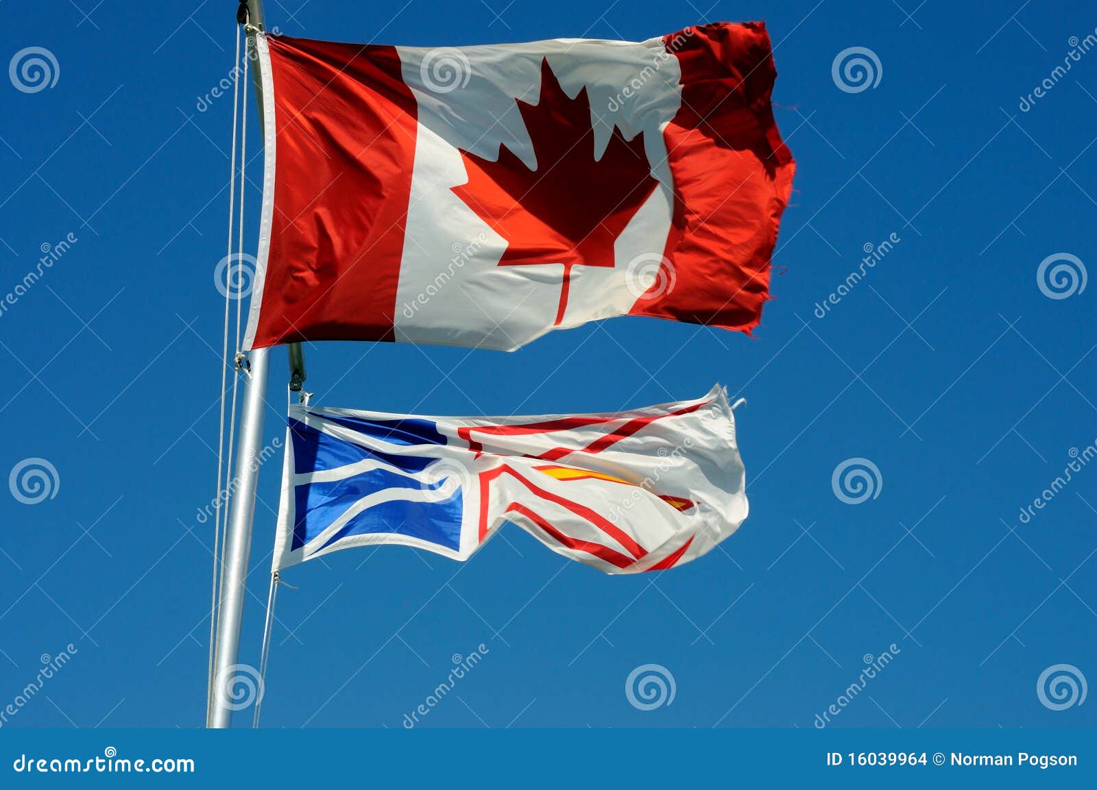 Canadian & Newfoundland Flags Stock Photo - Image of province, canada ...