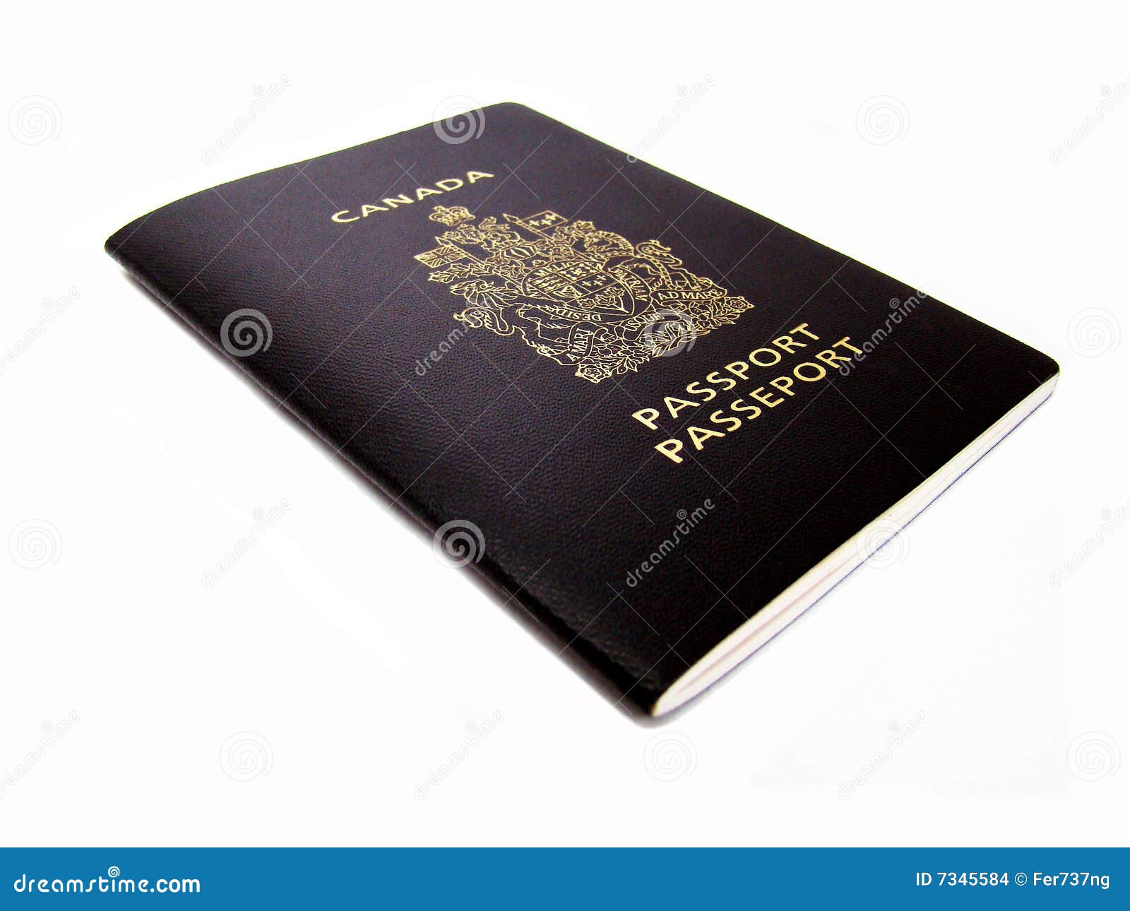 Canadian Passport Background