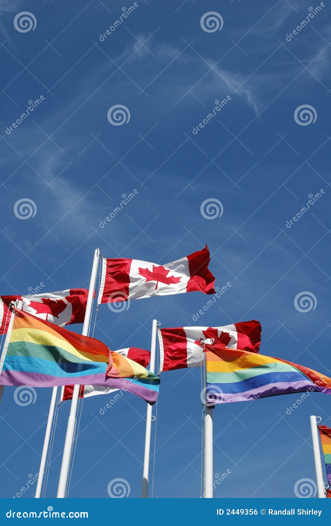 Canadian Pride Flags Picture. Image: 2449356
