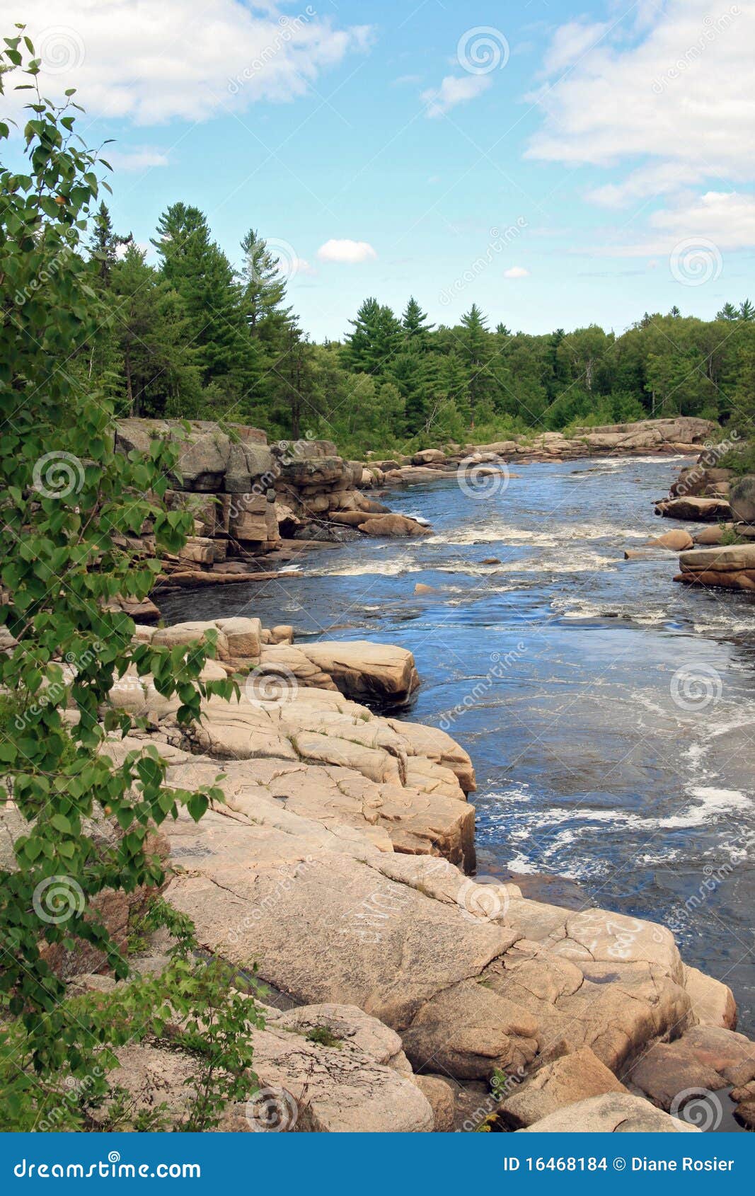 Canadian river stock photo. Image of vertical, forest - 16468184