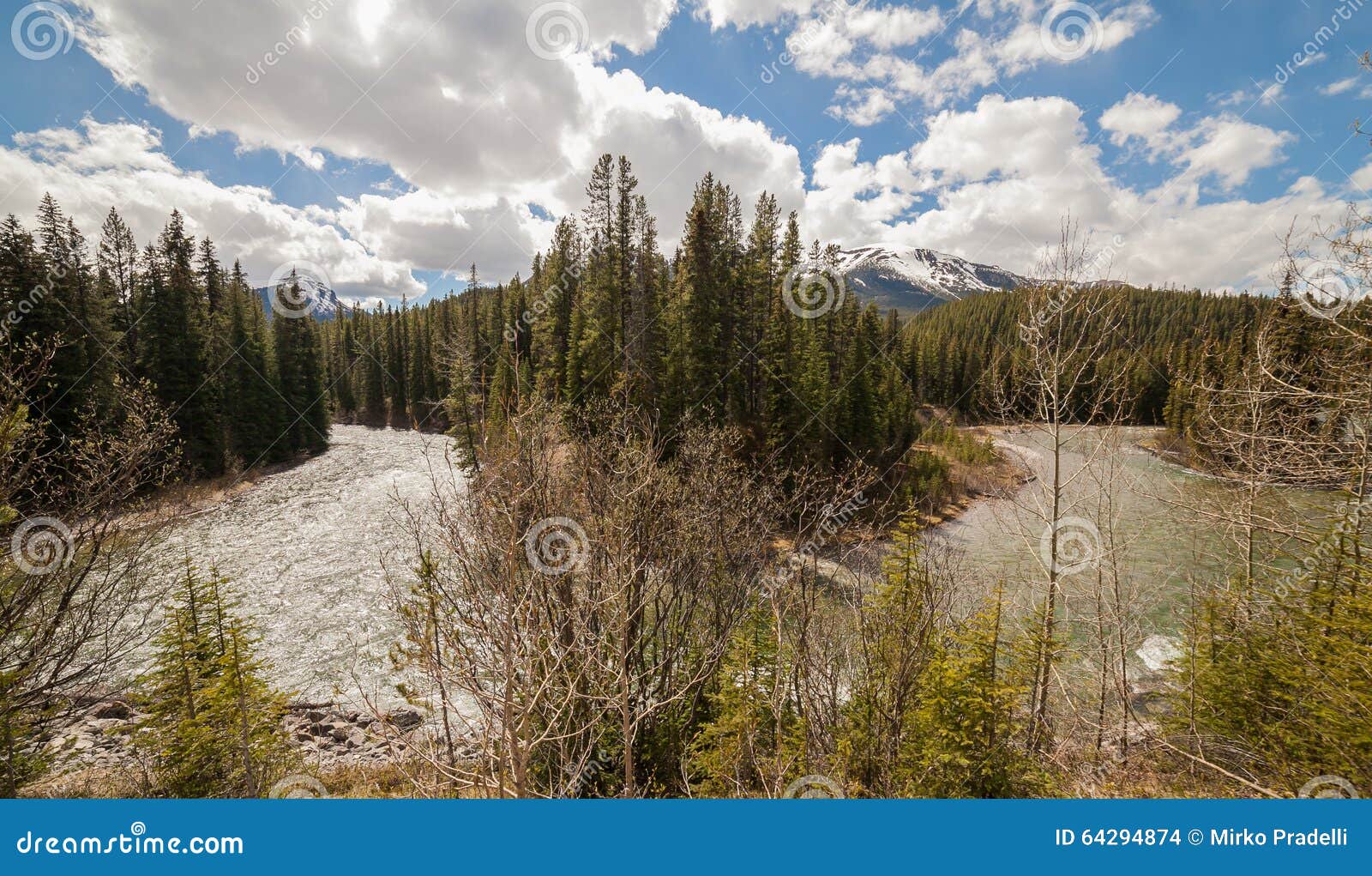 Canadian river stock photo. Image of waters, water, turn - 64294874