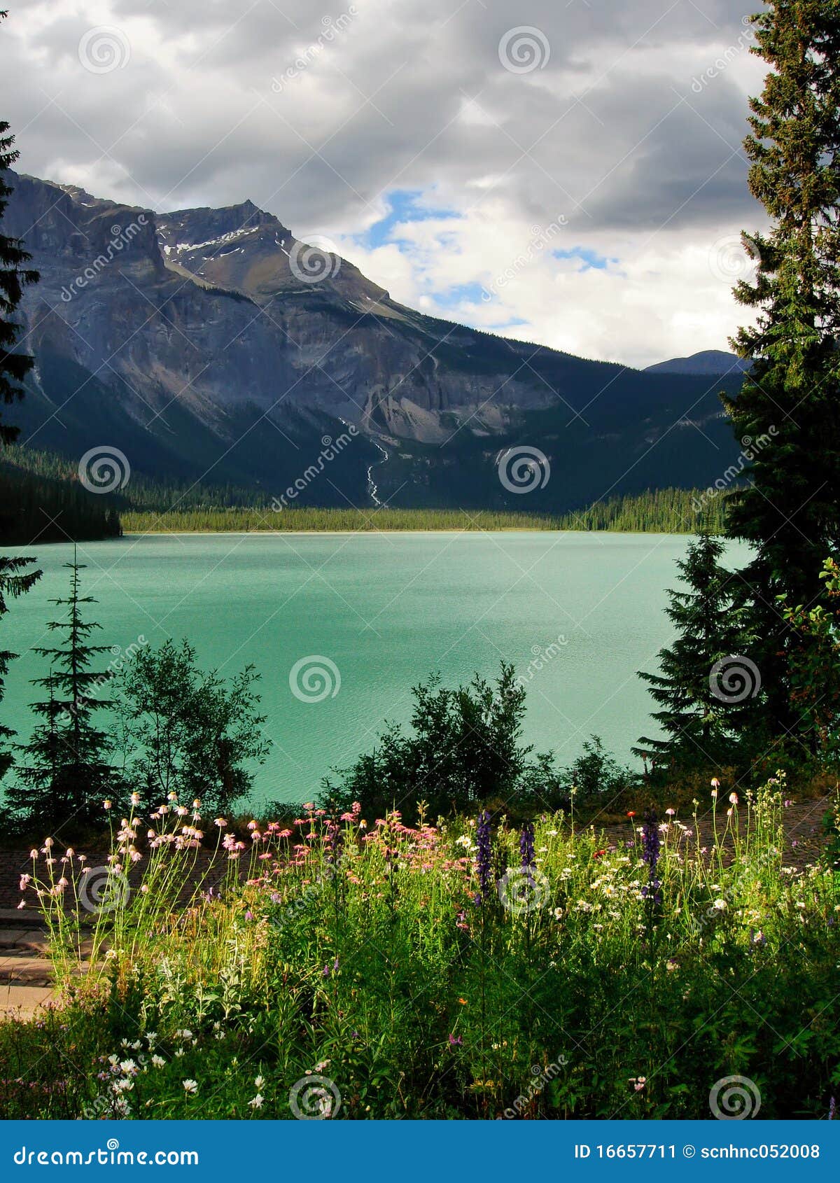Canadian Rockies stock image. Image of colourful, lake - 16657711