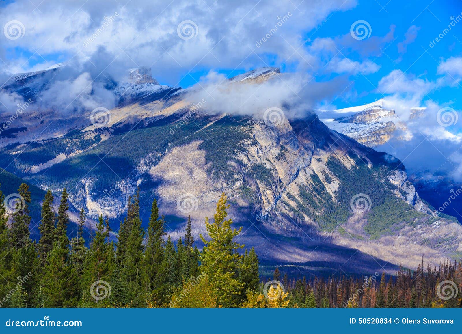 Canadian Rockies Mountains, Alberta, Canada Stock Photo - Image of ...
