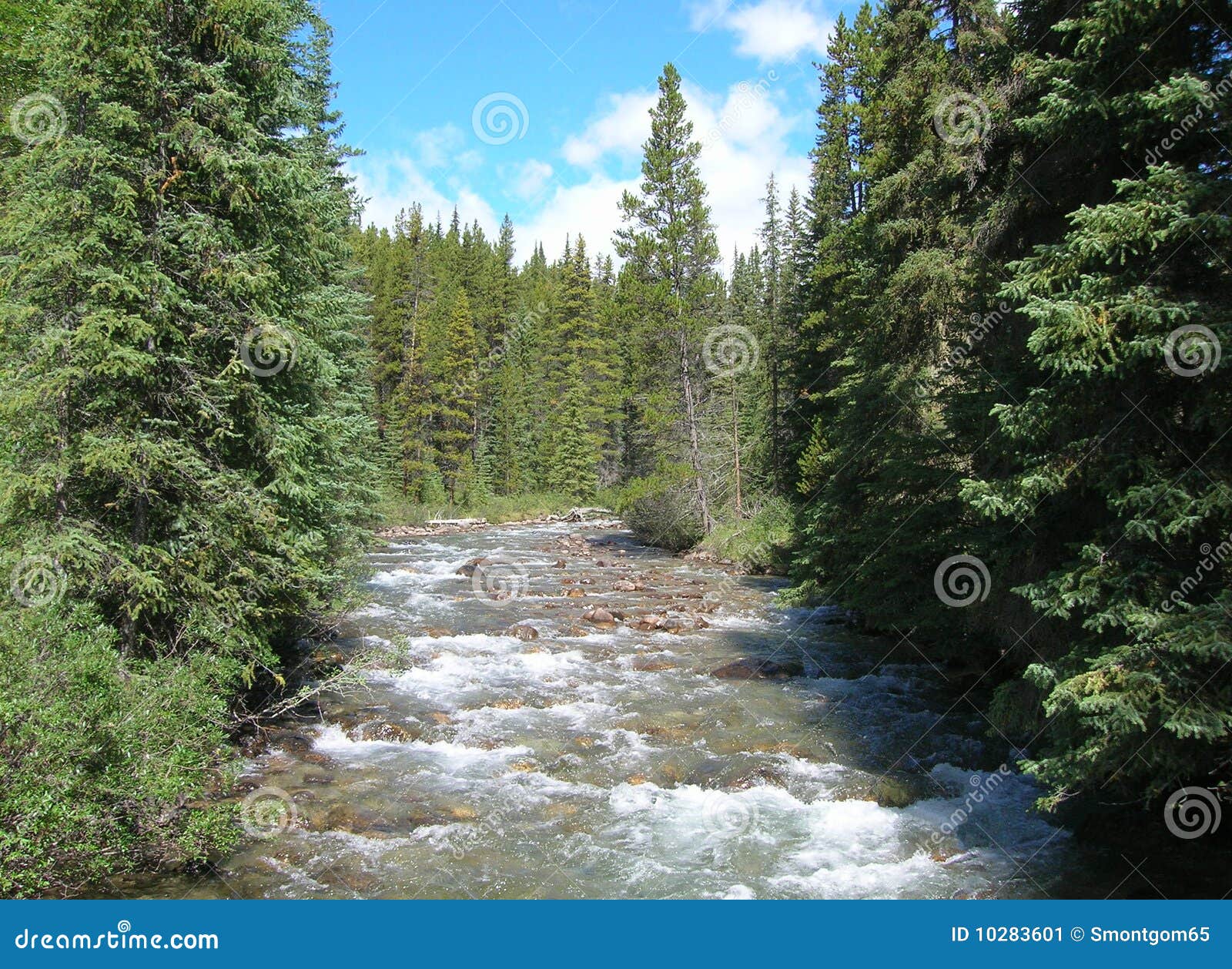 Canadian Rockies stream stock image. Image of range, relaxation - 10283601