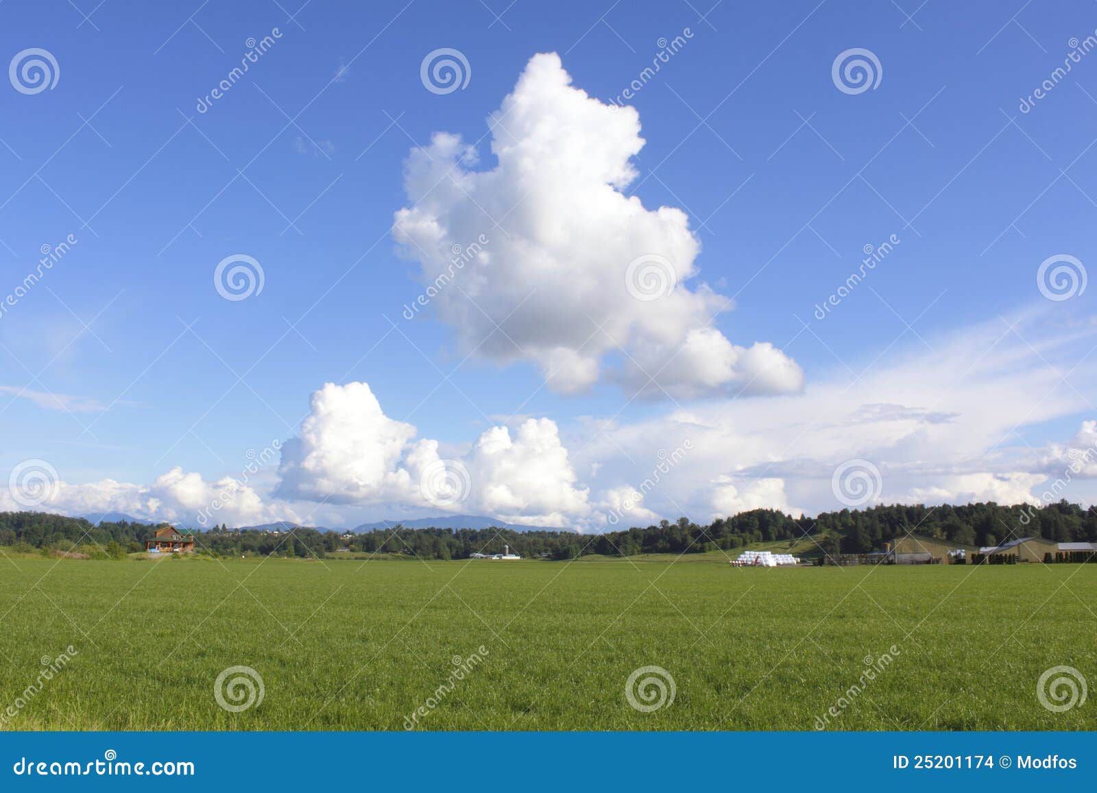 Canadian Rural Landscape stock photo. Image of agriculture - 25201174