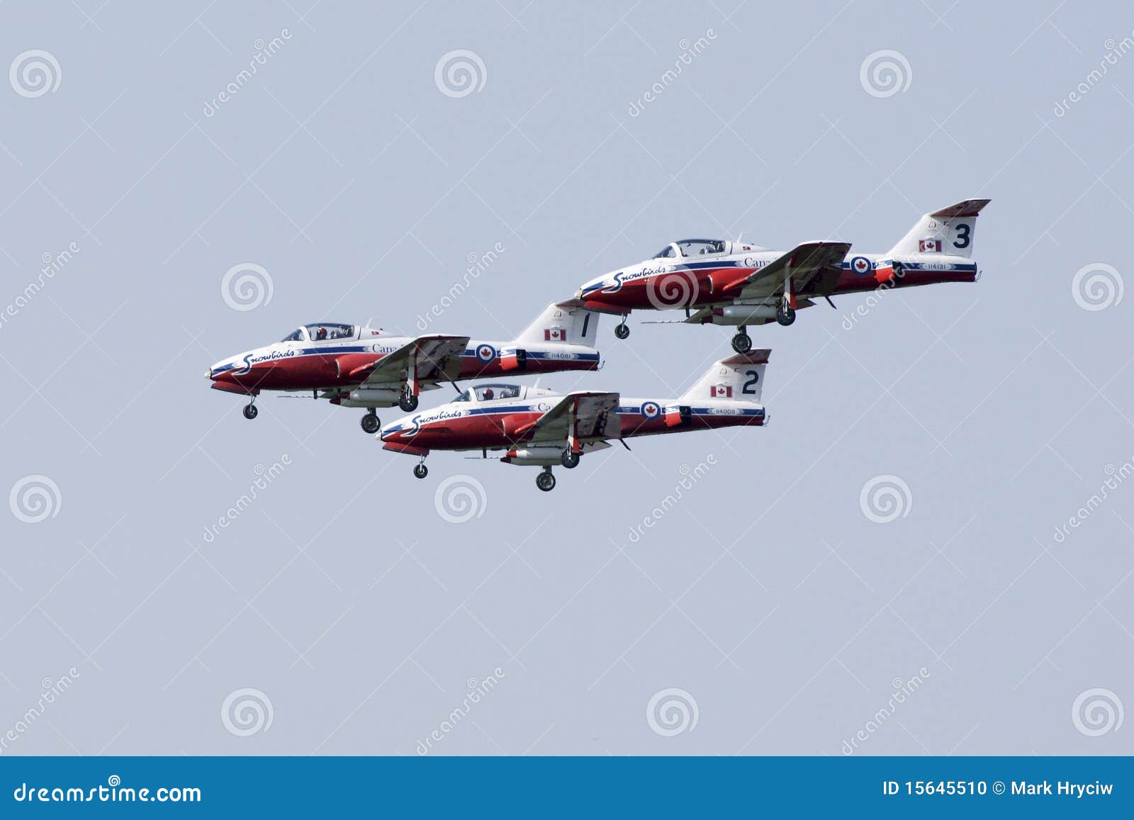 Canadian Snowbirds Jets editorial image. Image of team - 15645510