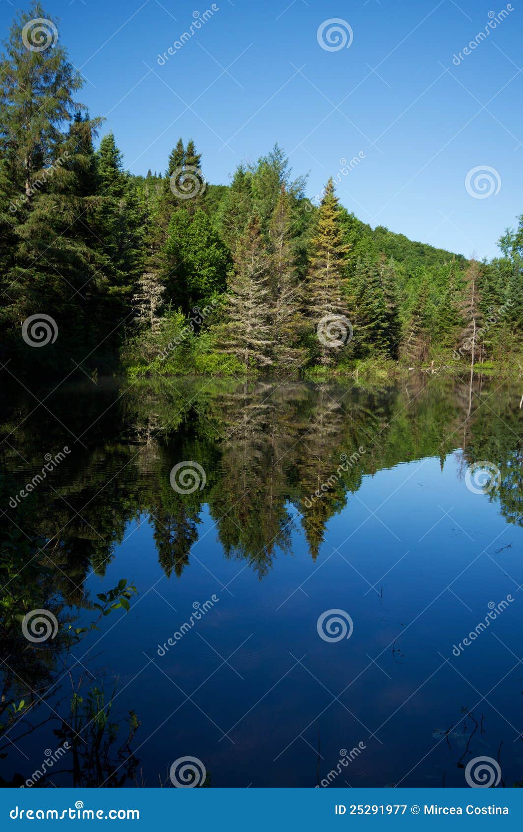 Canadian Summer Landscape stock image. Image of canada - 25291977