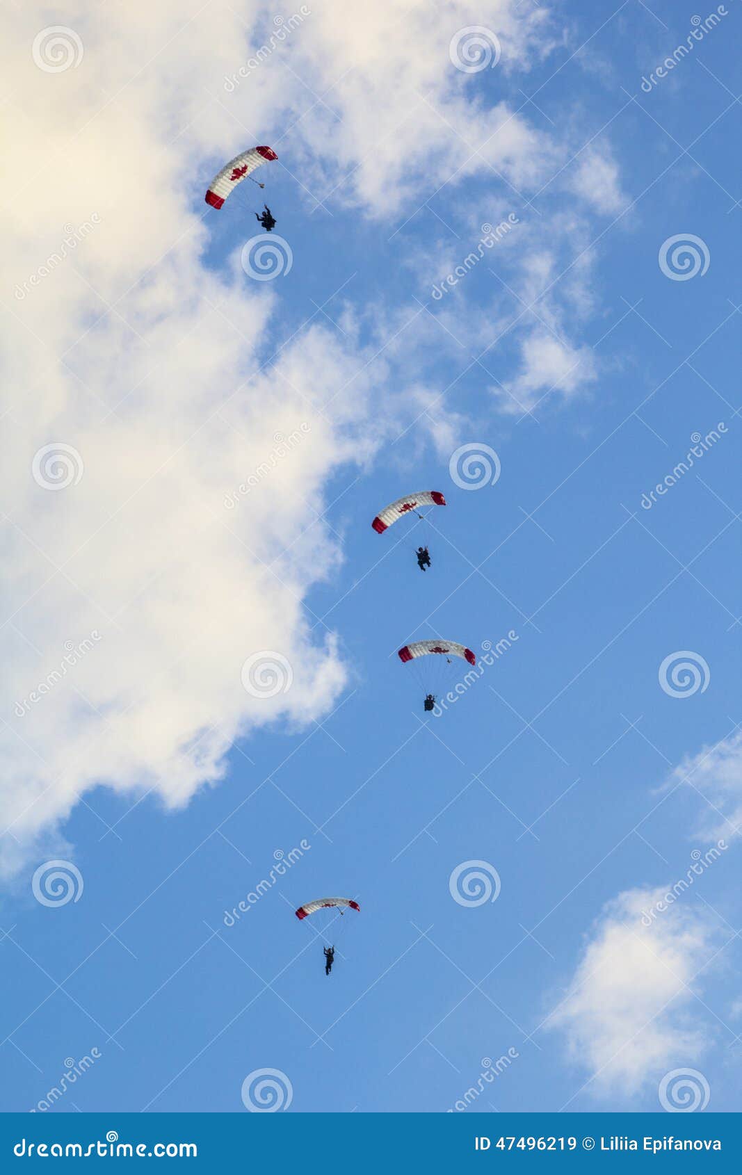 Canadian Team Performs Group Jump on the Parachutism Competition Stock ...