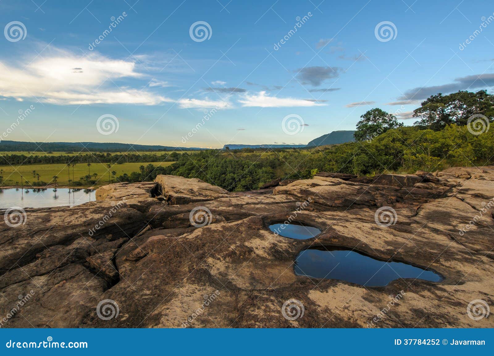 Canaima National Park, Venezuela Stock Photo - Image of forest, summer ...