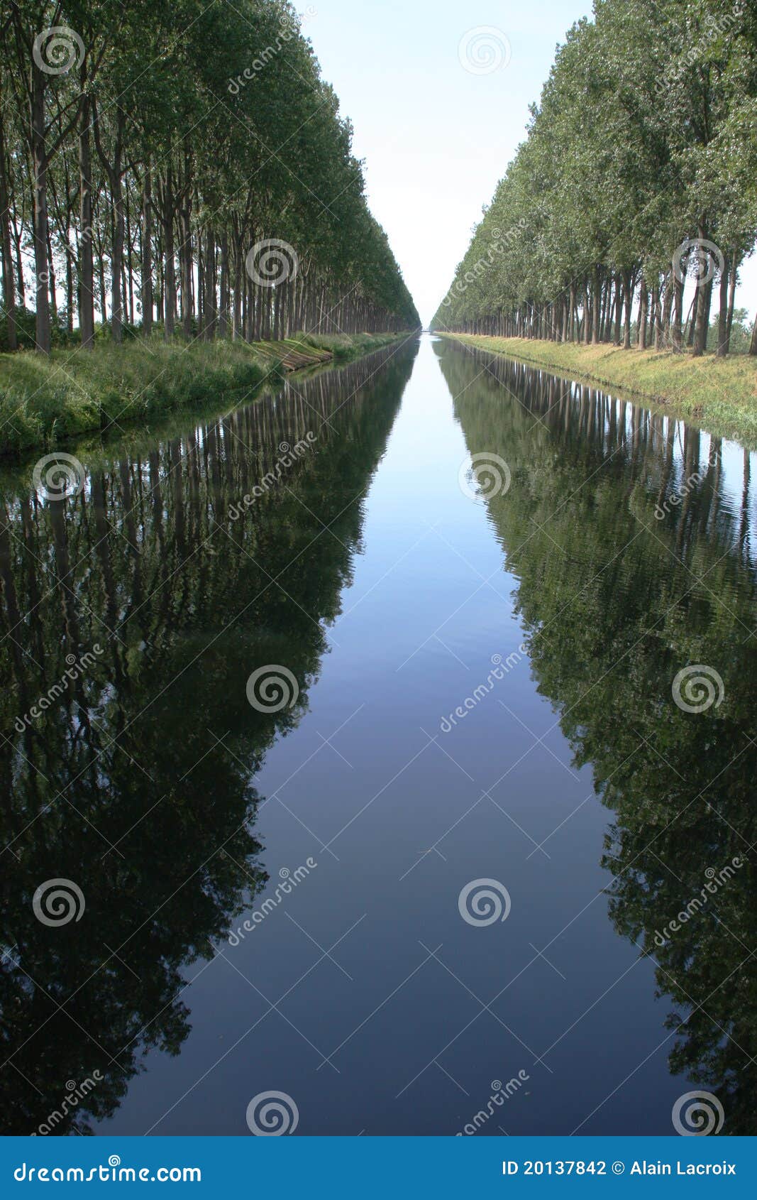 Canal stock photo. Image of reflect, perspective, nature - 20137842